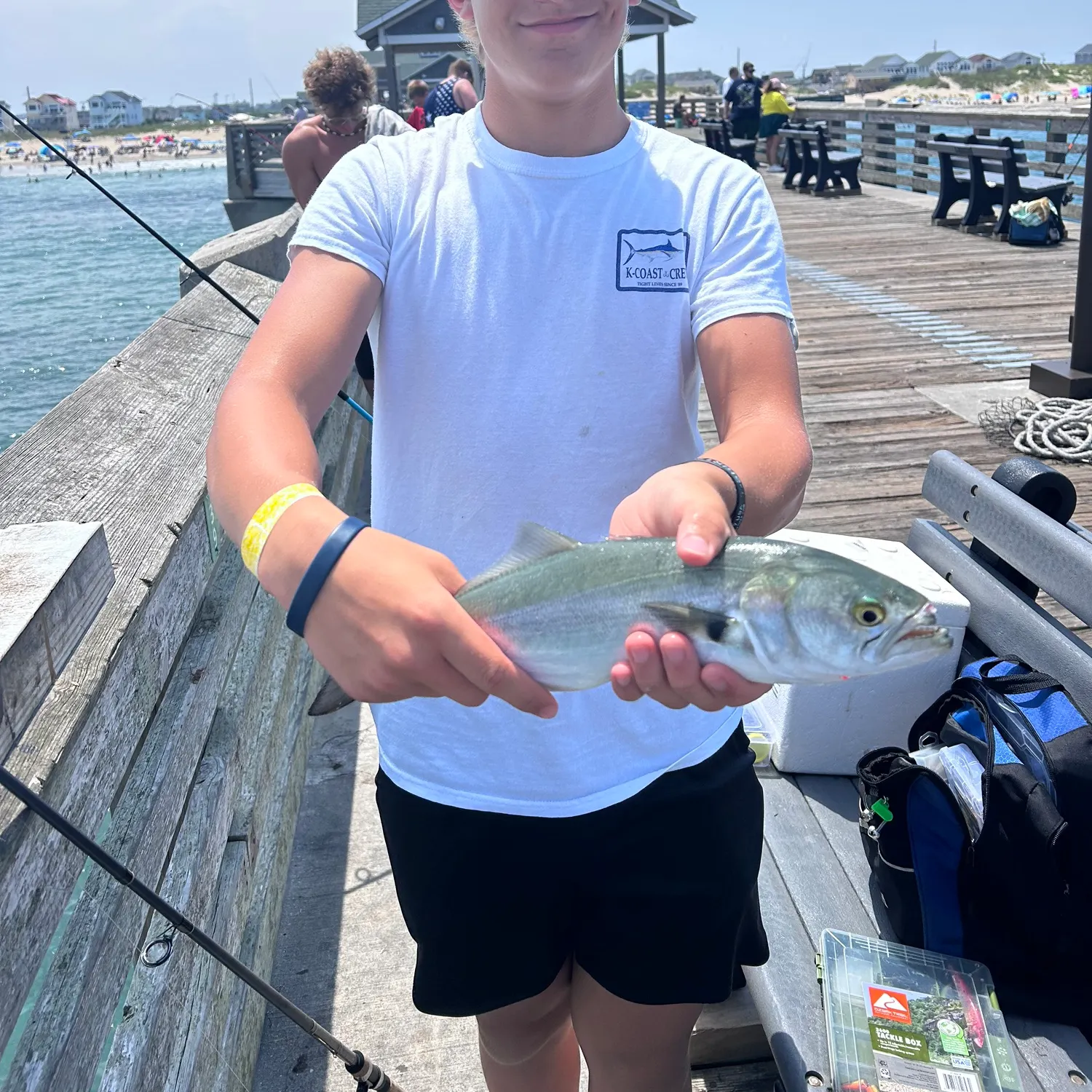 ᐅ Jennette's Pier fishing reports🎣• Kill Devil Hills, NC (United States ...
