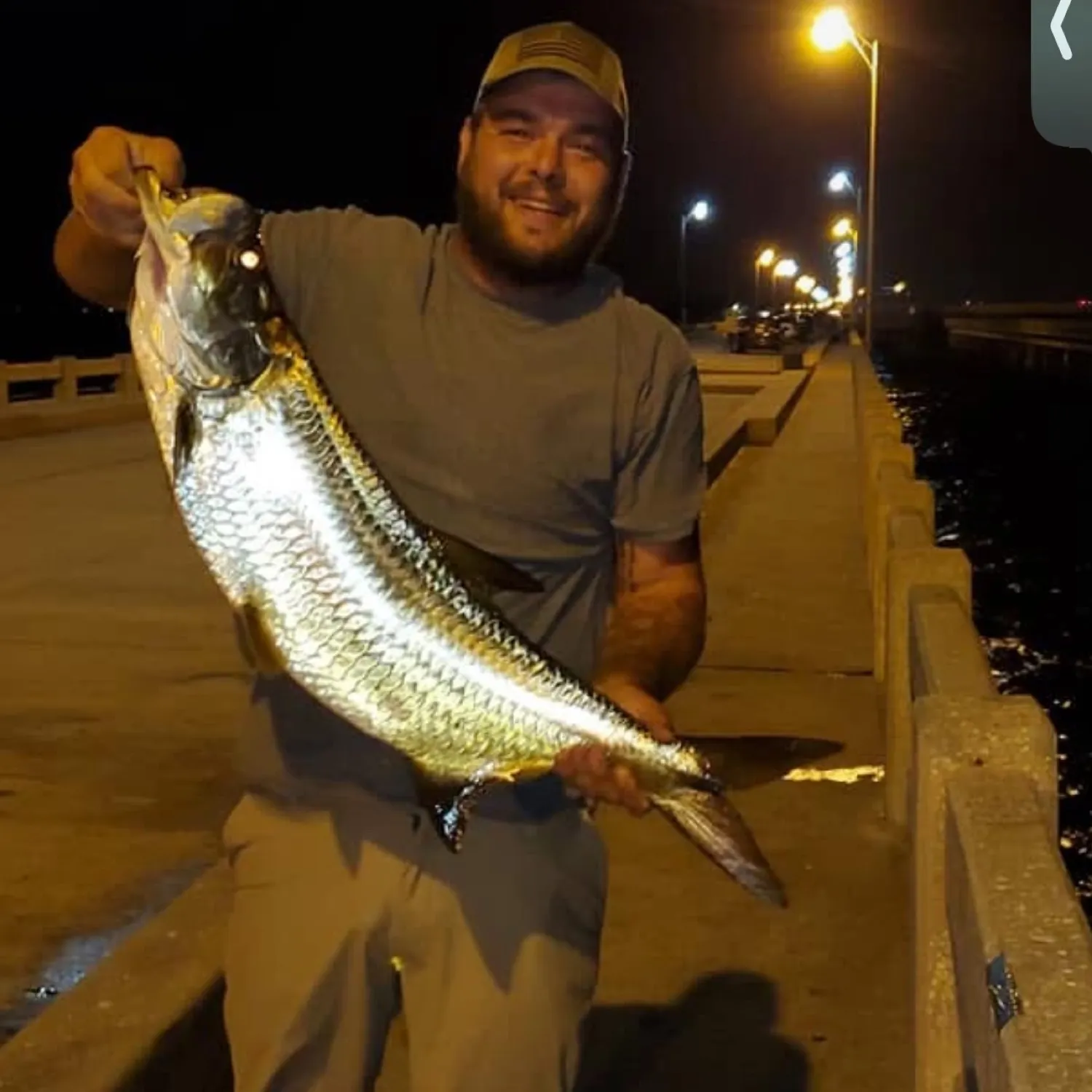 ᐅ Skyway North Fishing Pier (Sunshine Skyway) fishing reports🎣 ...