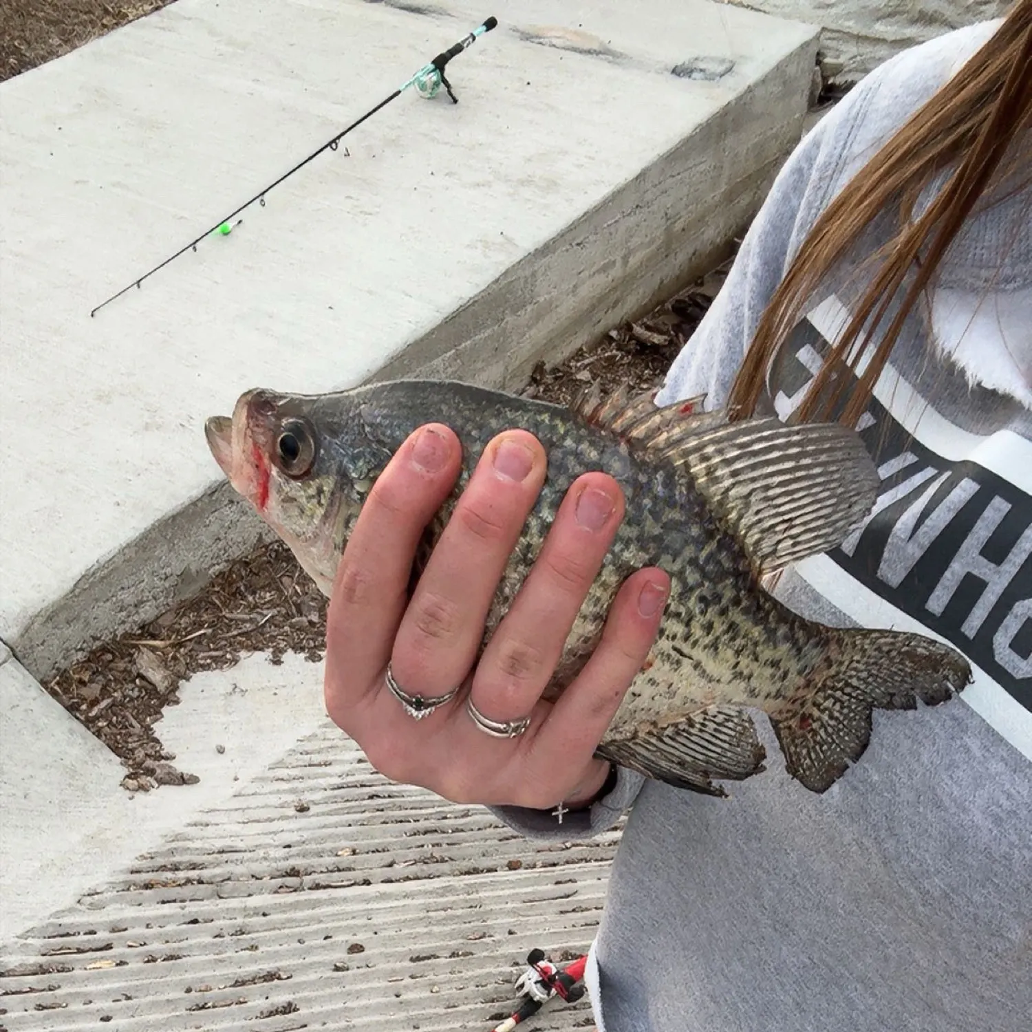 ᐅ Beaver Dam Lake fishing reports🎣• Beaver Dam, WI (United States) fishing