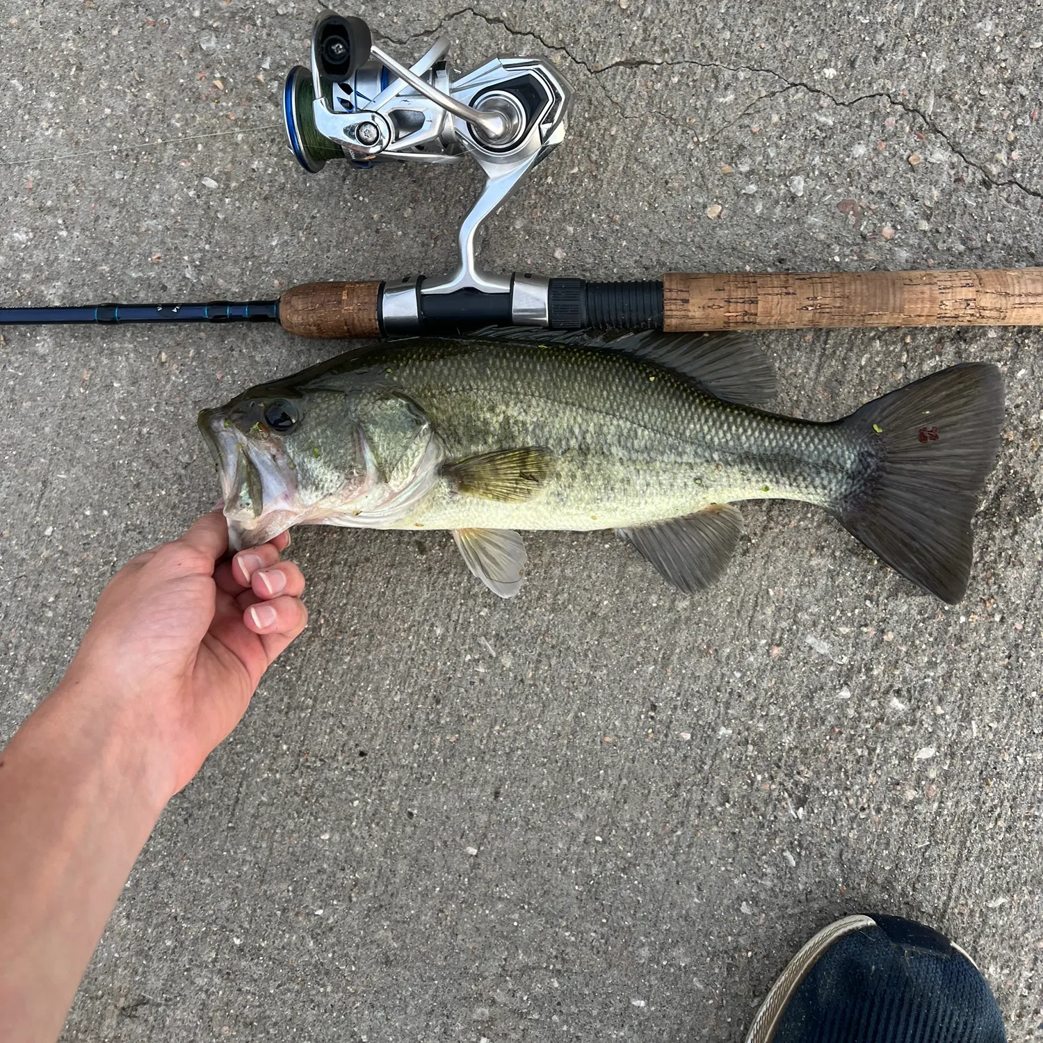 Fishing in Omaha, NE (United States) ️️️️ Find Spots, Species & Tips