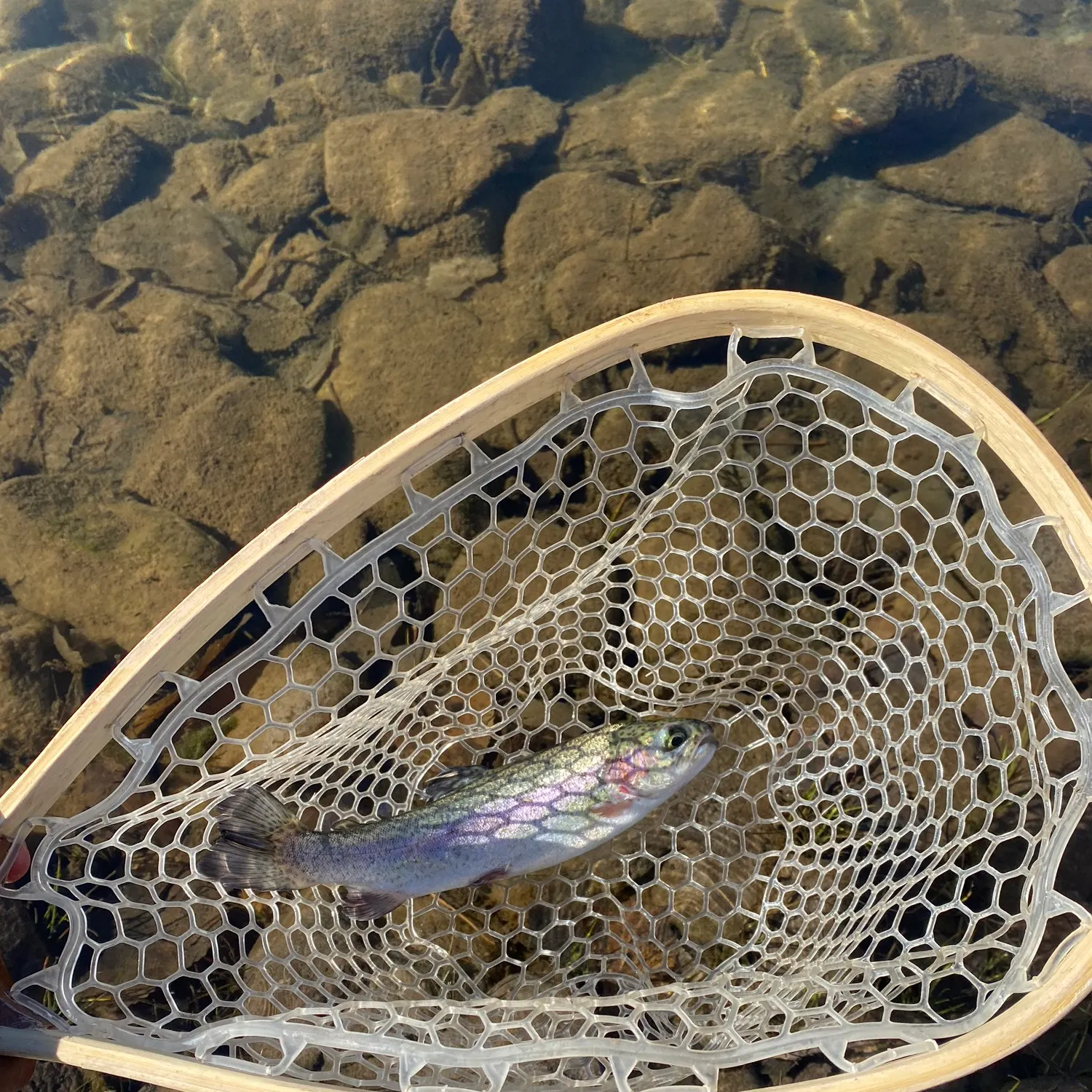 Fishing in Albuquerque, NM (United States) ️️️️ Find Spots, Species & Tips