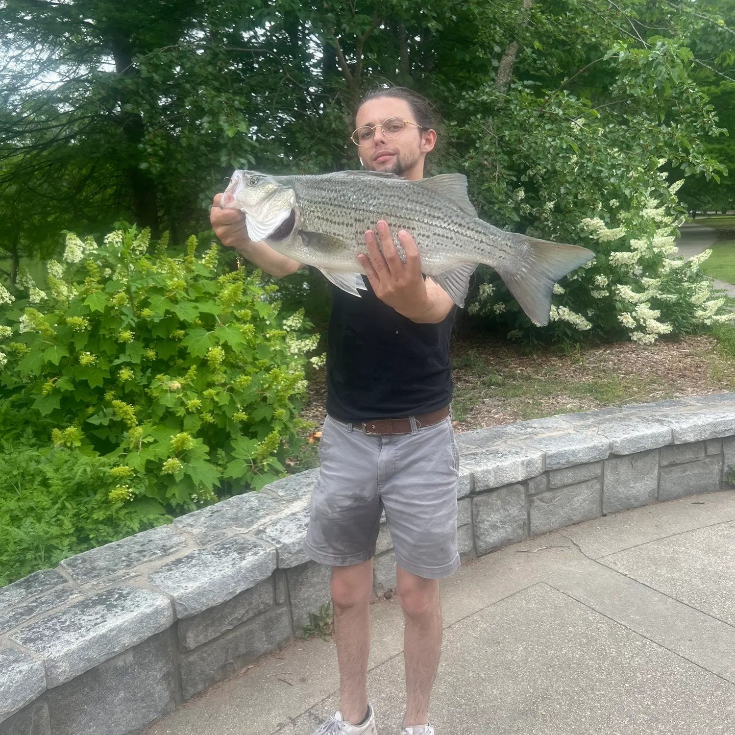 Fishing in Atlanta, GA (United States) ️️️️ Find Spots, Species & Tips