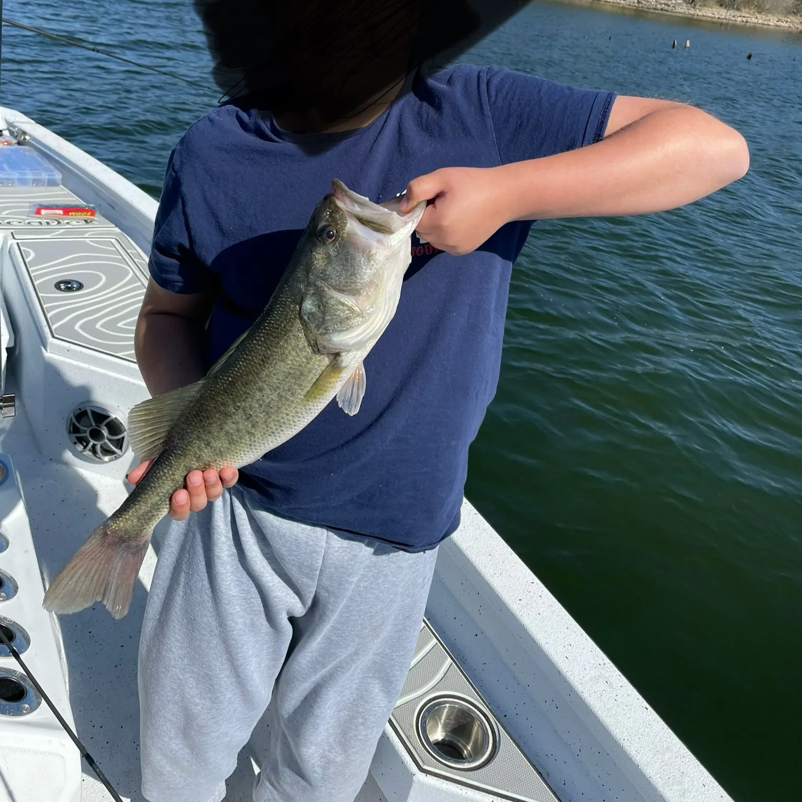 ᐅ Squaw Creek Reservoir fishing reports🎣• Granbury, TX (United States ...