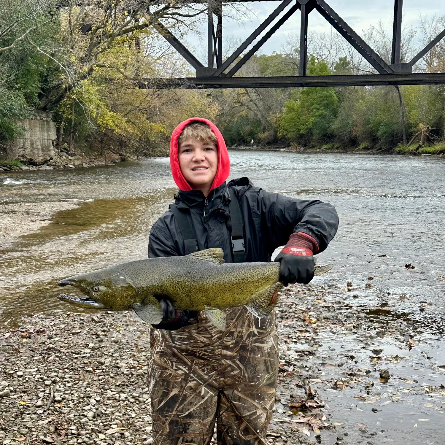 ᐅ Milwaukee River fishing reports🎣• Grafton, WI (United States) fishing