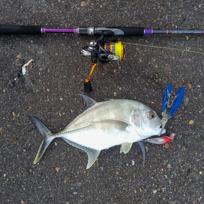 Fishing in the Philippines ️️️️ Explore the best fishing spots and areas
