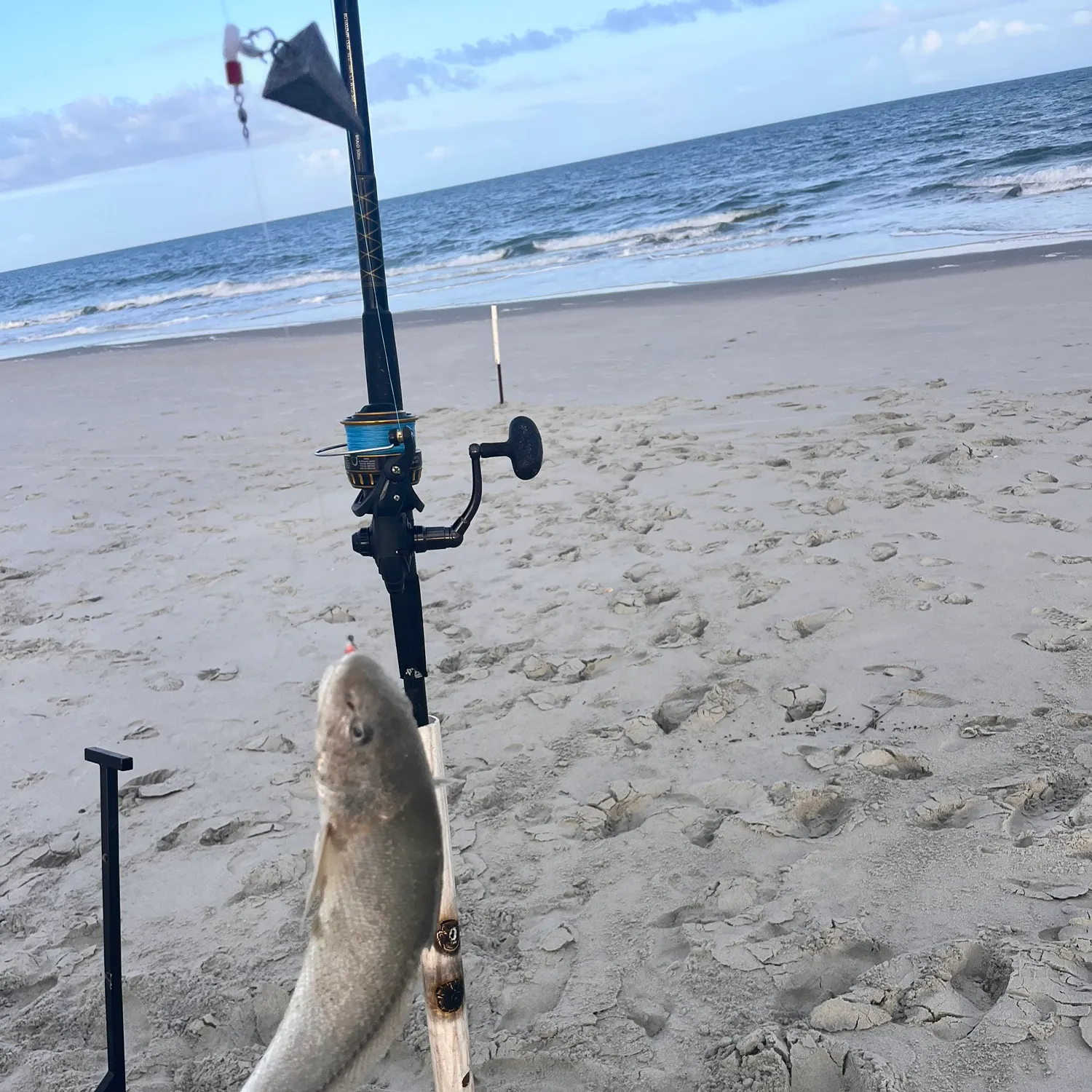 ᐅ Murrells Inlet (including Main Creek) fishing reports🎣• Socastee, SC ...
