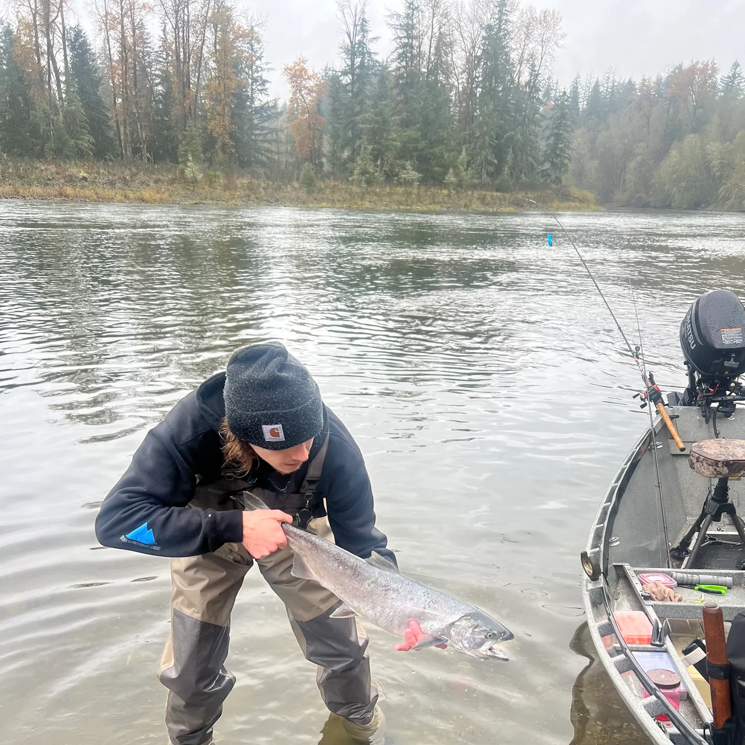 ᐅ Cowlitz River fishing reports🎣• Longview, WA (United States) fishing