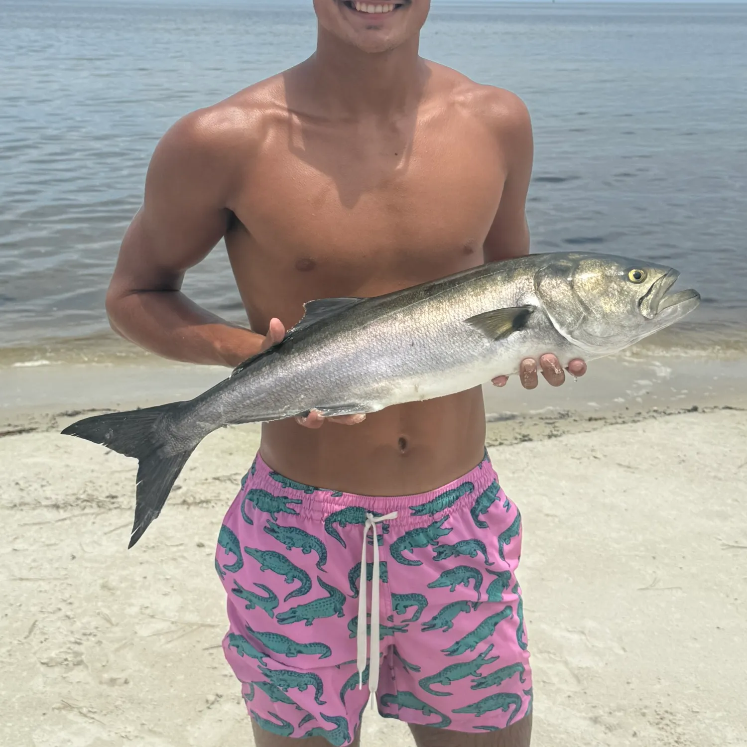 Fishing in Raleigh, NC (United States) ️️️️ Find Spots, Species & Tips