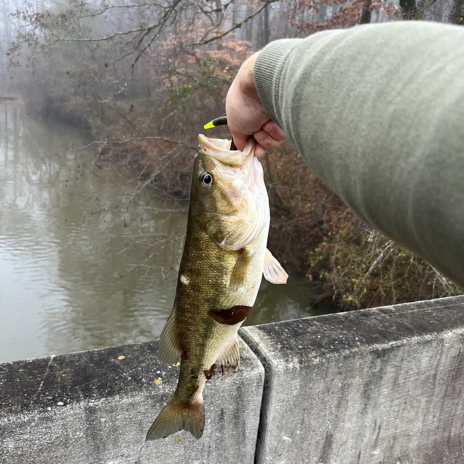 Fishing in Atlanta, GA (United States) ️️️️ Find Spots, Species & Tips