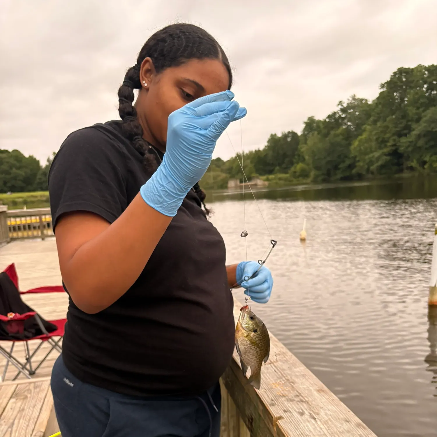 Fishing in Raleigh, NC (United States) ️️️️ Find Spots, Species & Tips