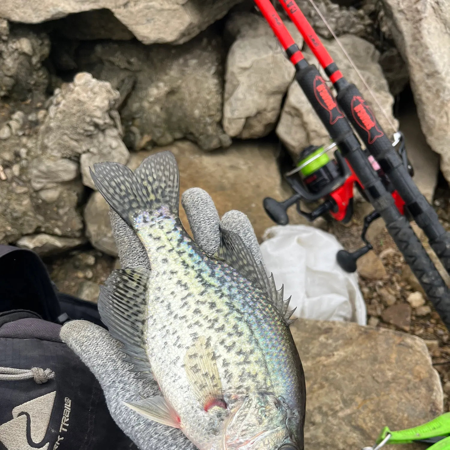 ᐅ Hoover Reservoir fishing reports🎣• Westerville, OH (United States ...