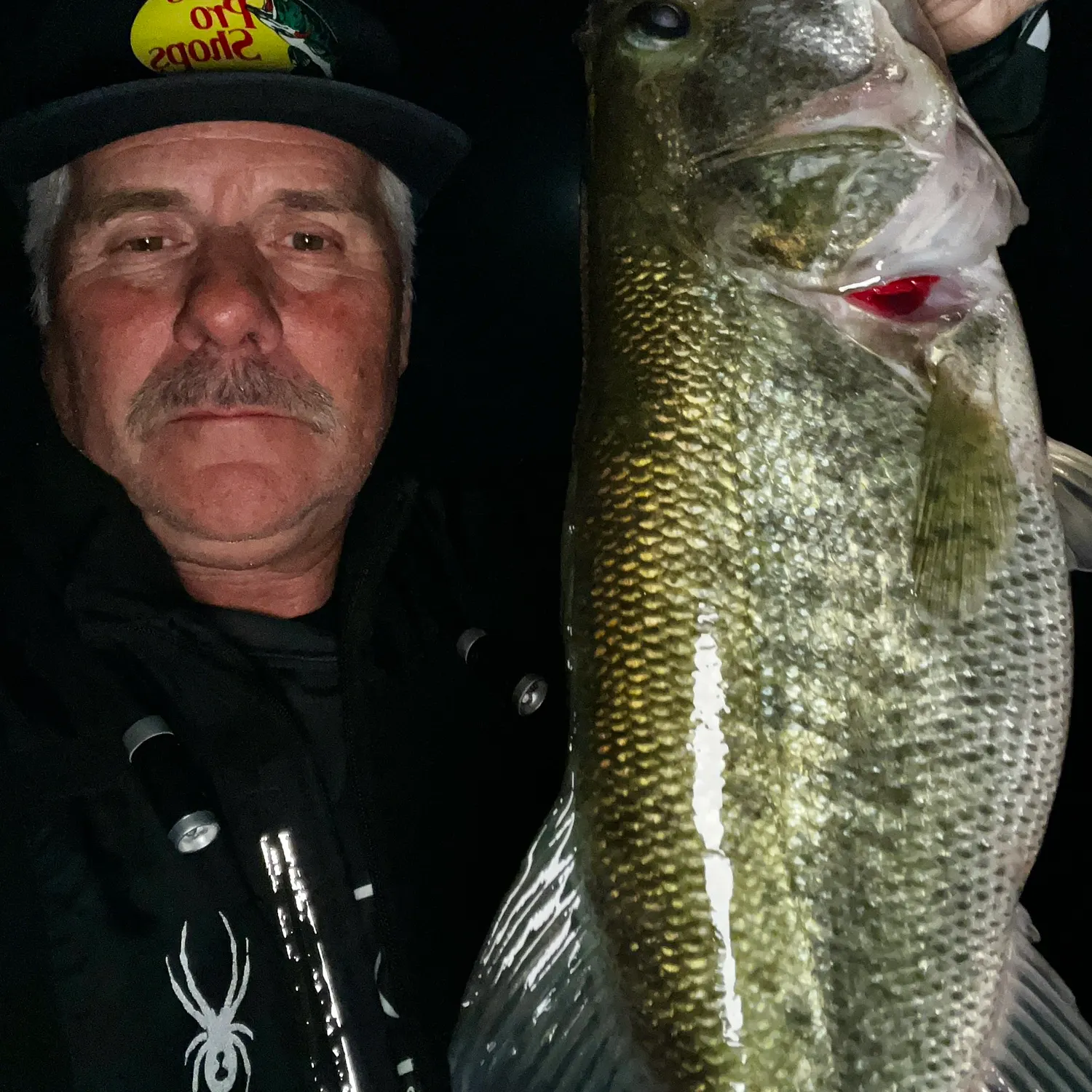 Fishing for Largemouth bass near you