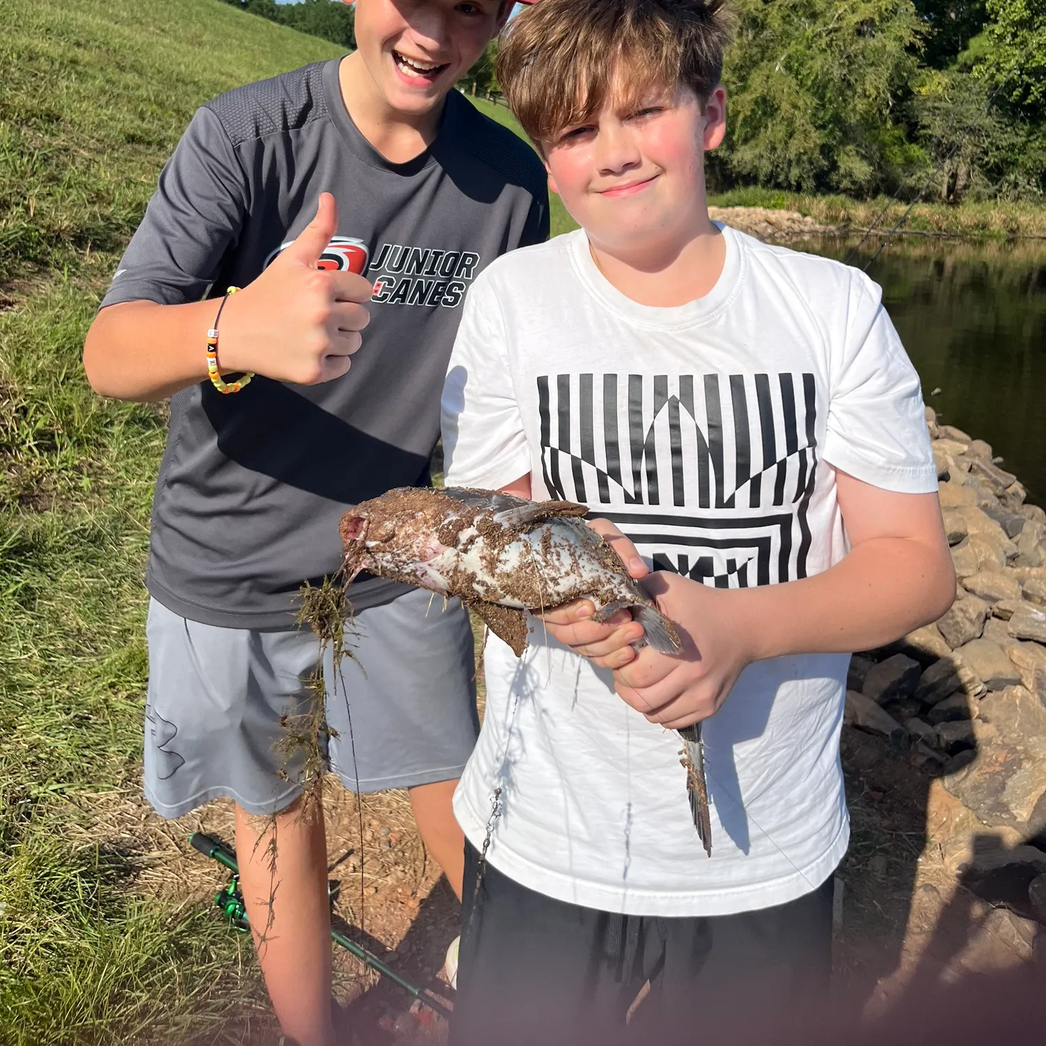 Fishing in Raleigh, NC (United States) ️️️️ Find Spots, Species & Tips
