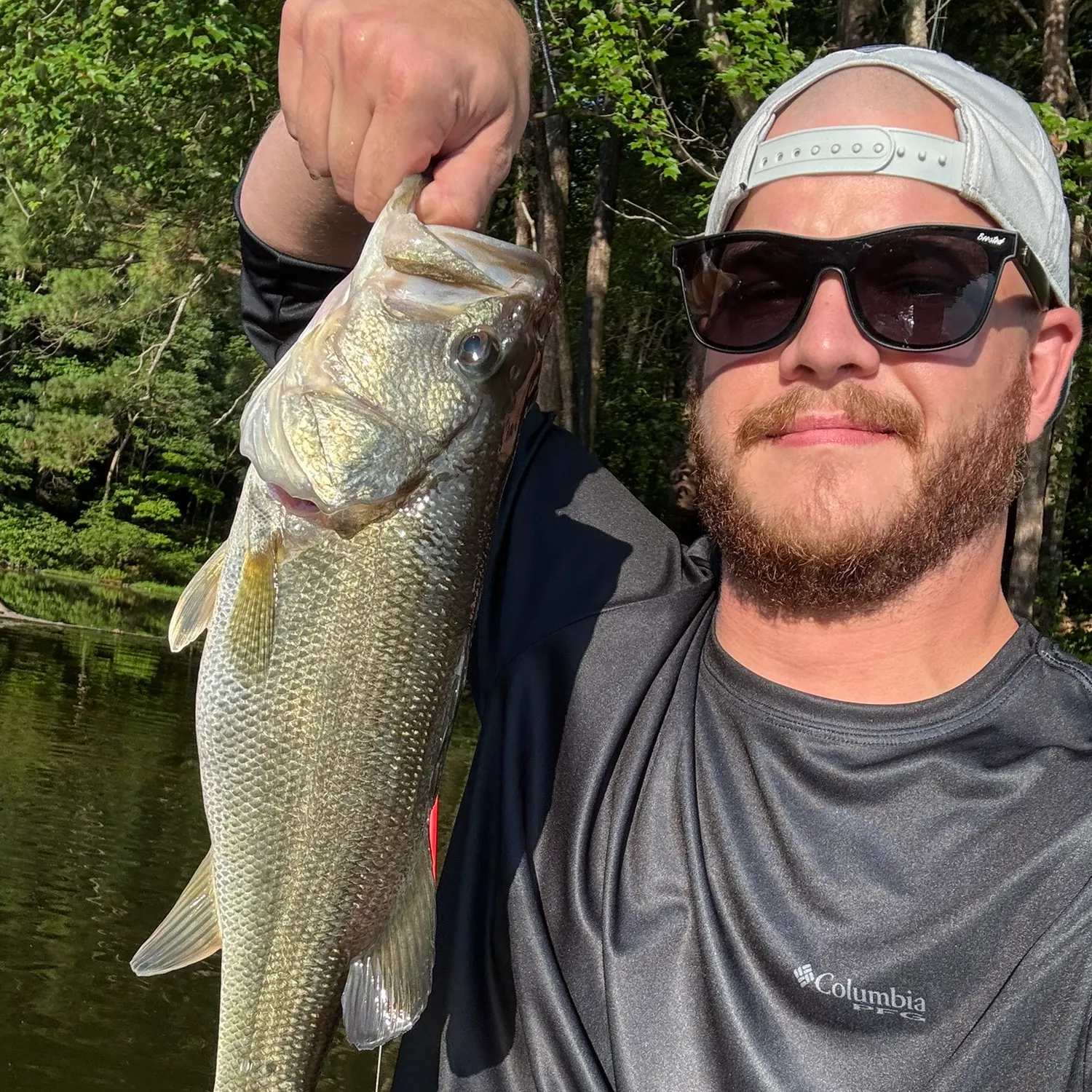 Fishing in Raleigh, NC (United States) ️️️️ Find Spots, Species & Tips