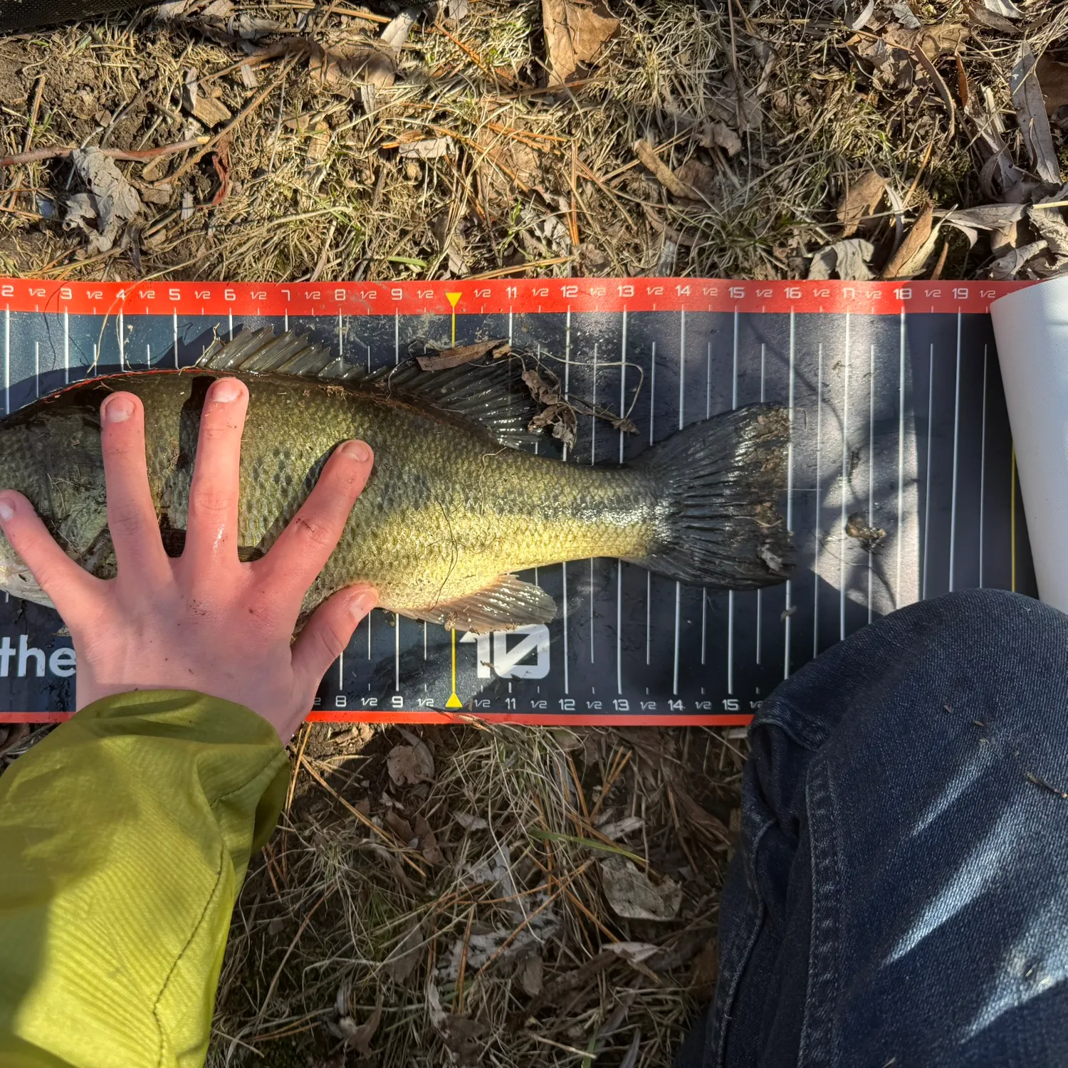 ᐅ Hoover Reservoir fishing reports🎣• Westerville, OH (United States ...