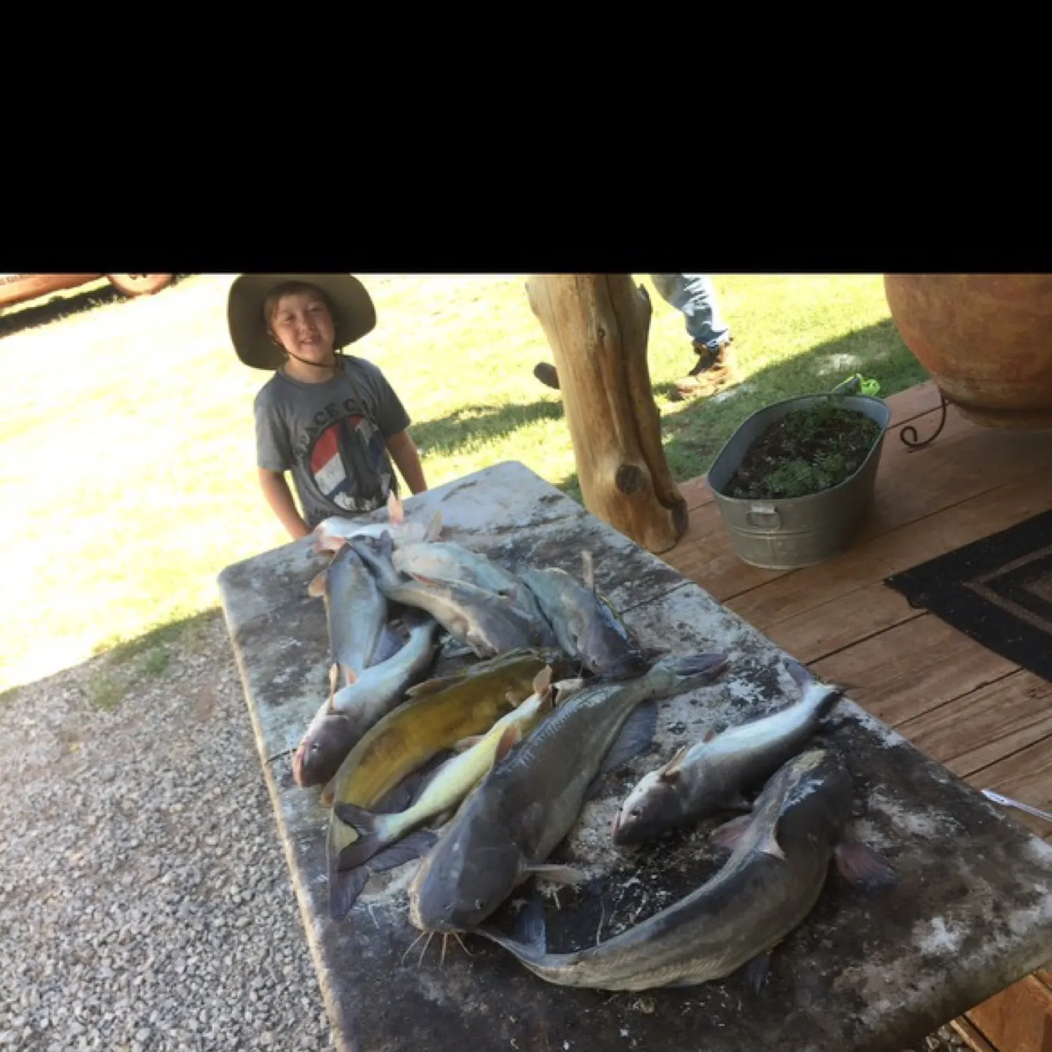 ᐅ Lake Kickapoo fishing reports🎣• Wichita Falls, TX (United States) fishing