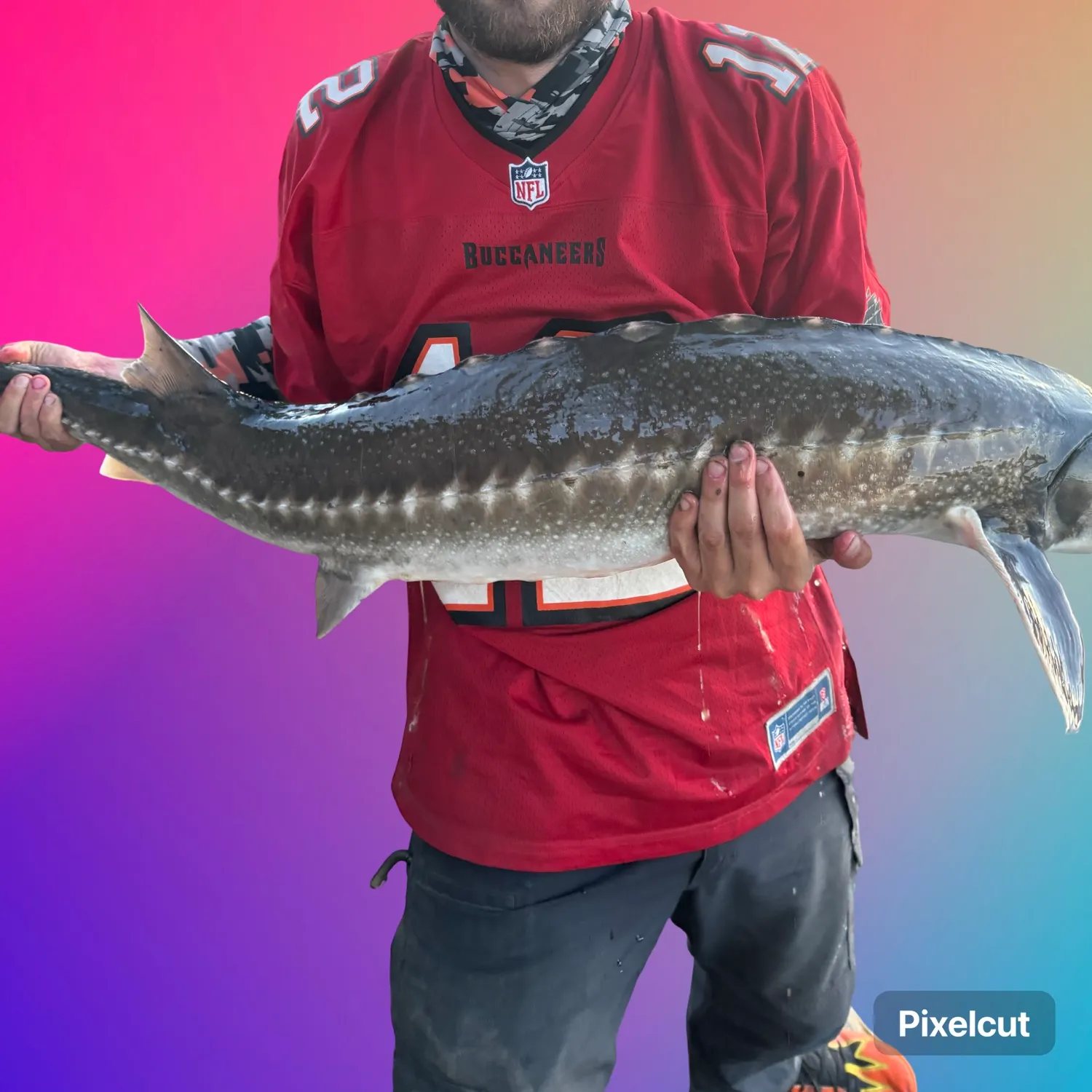 ᐅ Cowlitz River fishing reports🎣• Longview, WA (United States) fishing