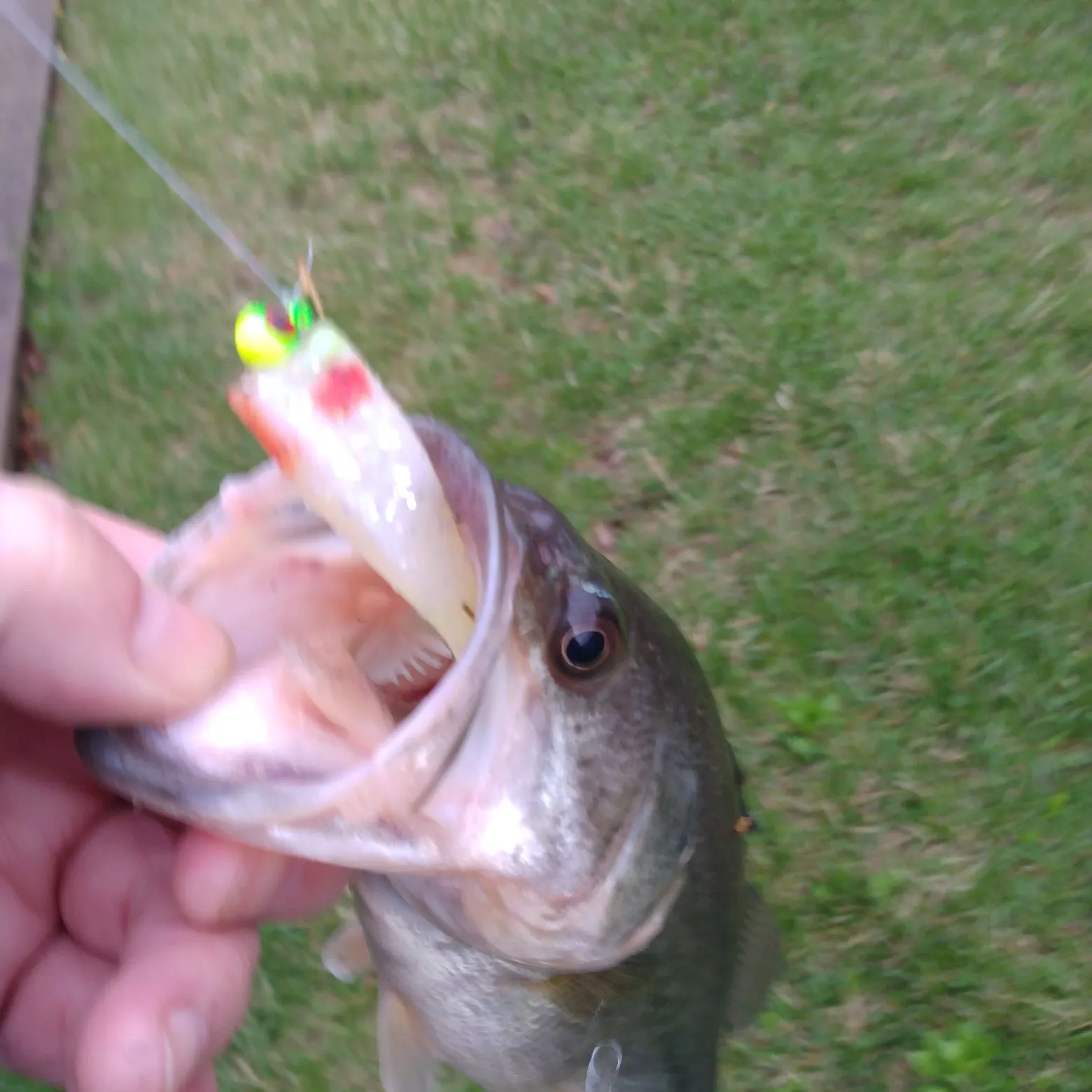 Fishing in Dayton, OH (United States) ️️️️ Find Spots, Species & Tips