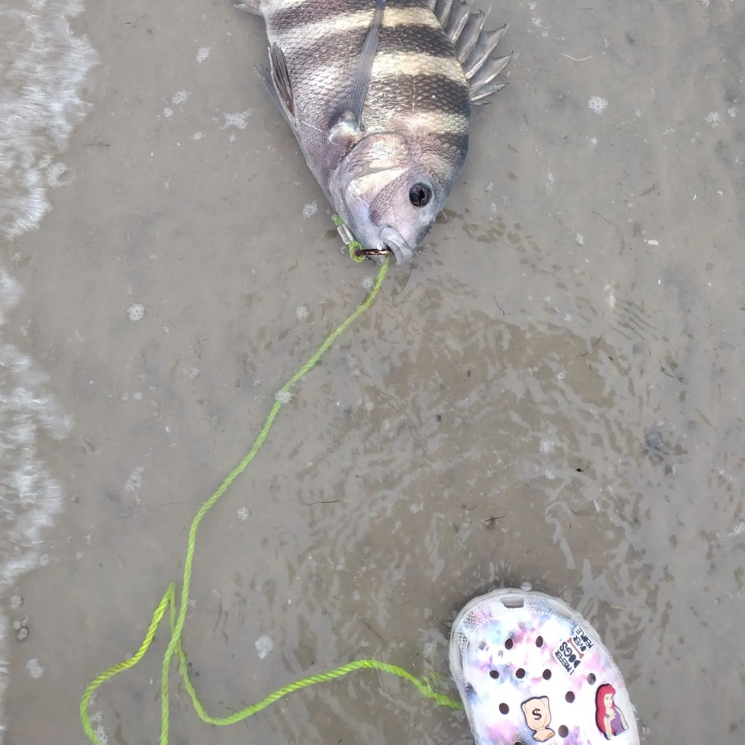 ᐅ Packery Channel fishing reports🎣• Corpus Christi, TX (United States ...