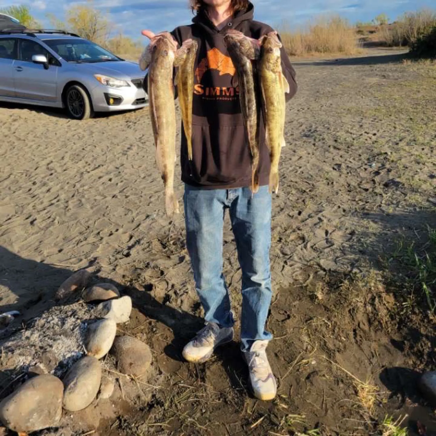 ᐅ Cowlitz River fishing reports🎣• Longview, WA (United States) fishing