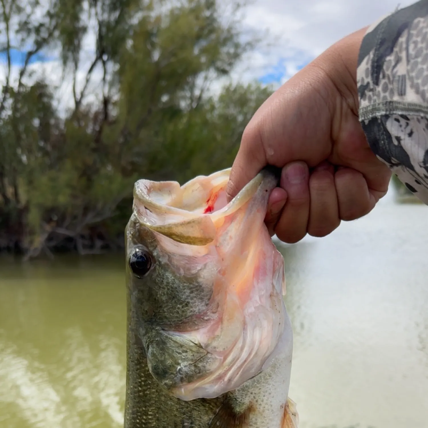 Fishing in Albuquerque, NM (United States) ️️️️ Find Spots, Species & Tips