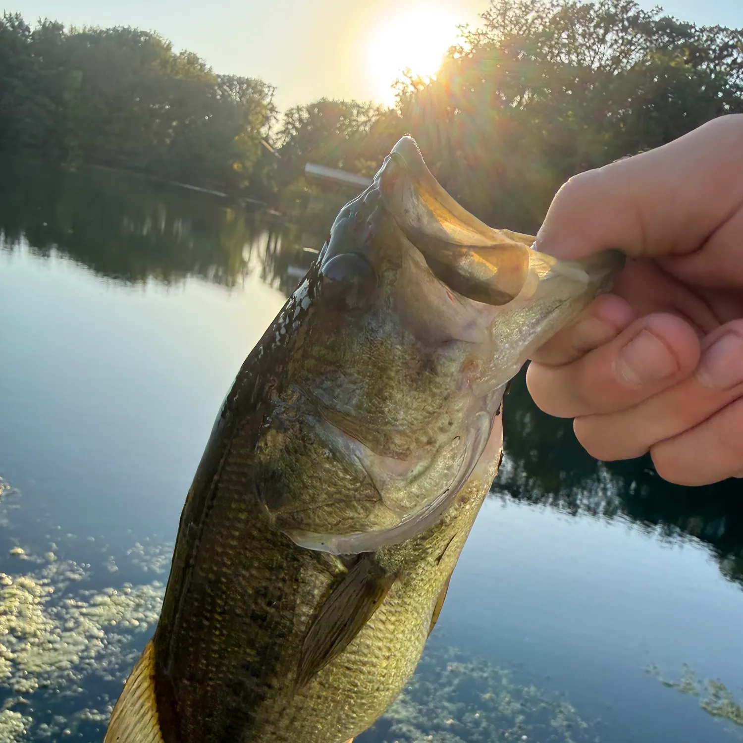 Fishing in Omaha, NE (United States) ️️️️ Find Spots, Species & Tips