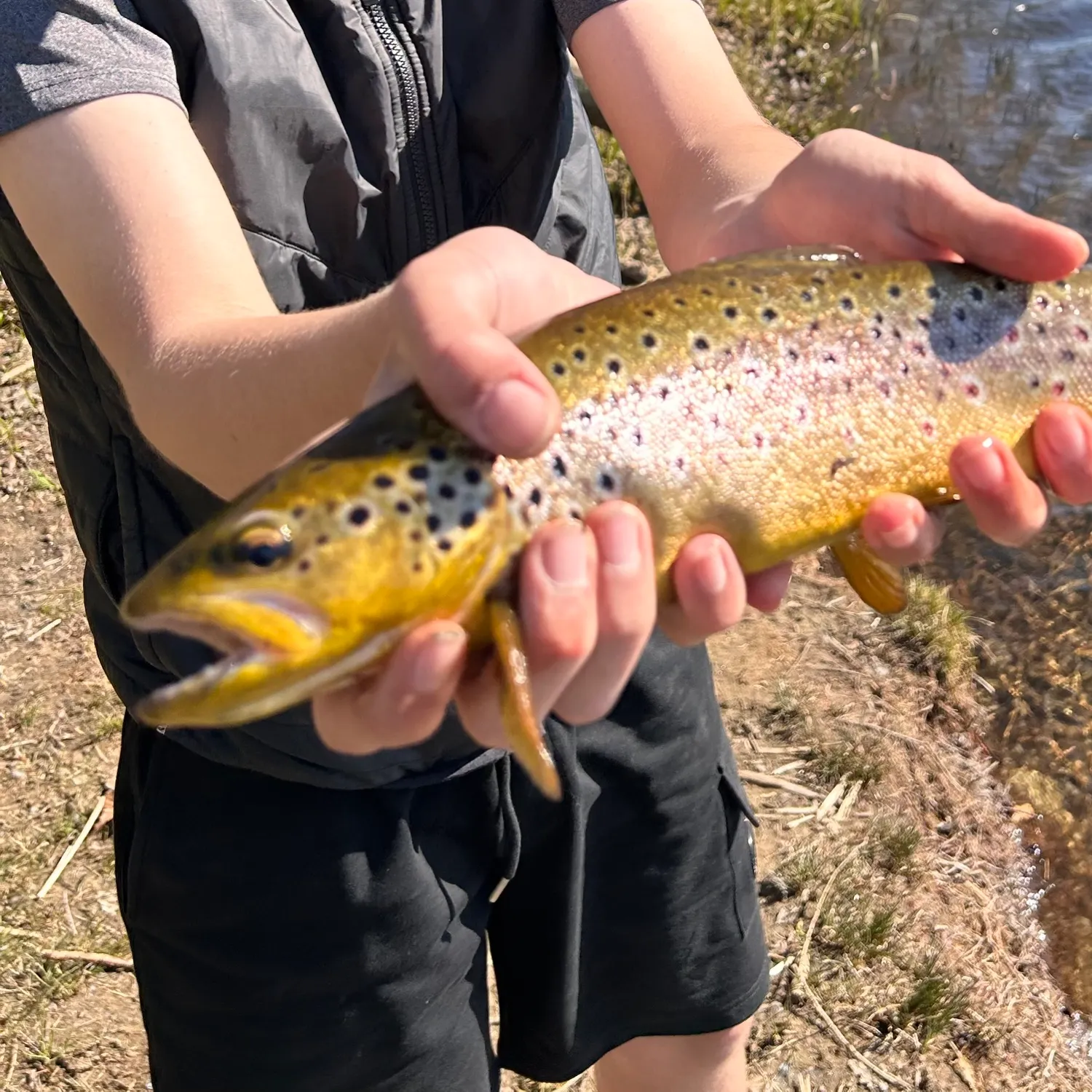ᐅ River Tay fishing reports🎣• Scotland, United Kingdom fishing