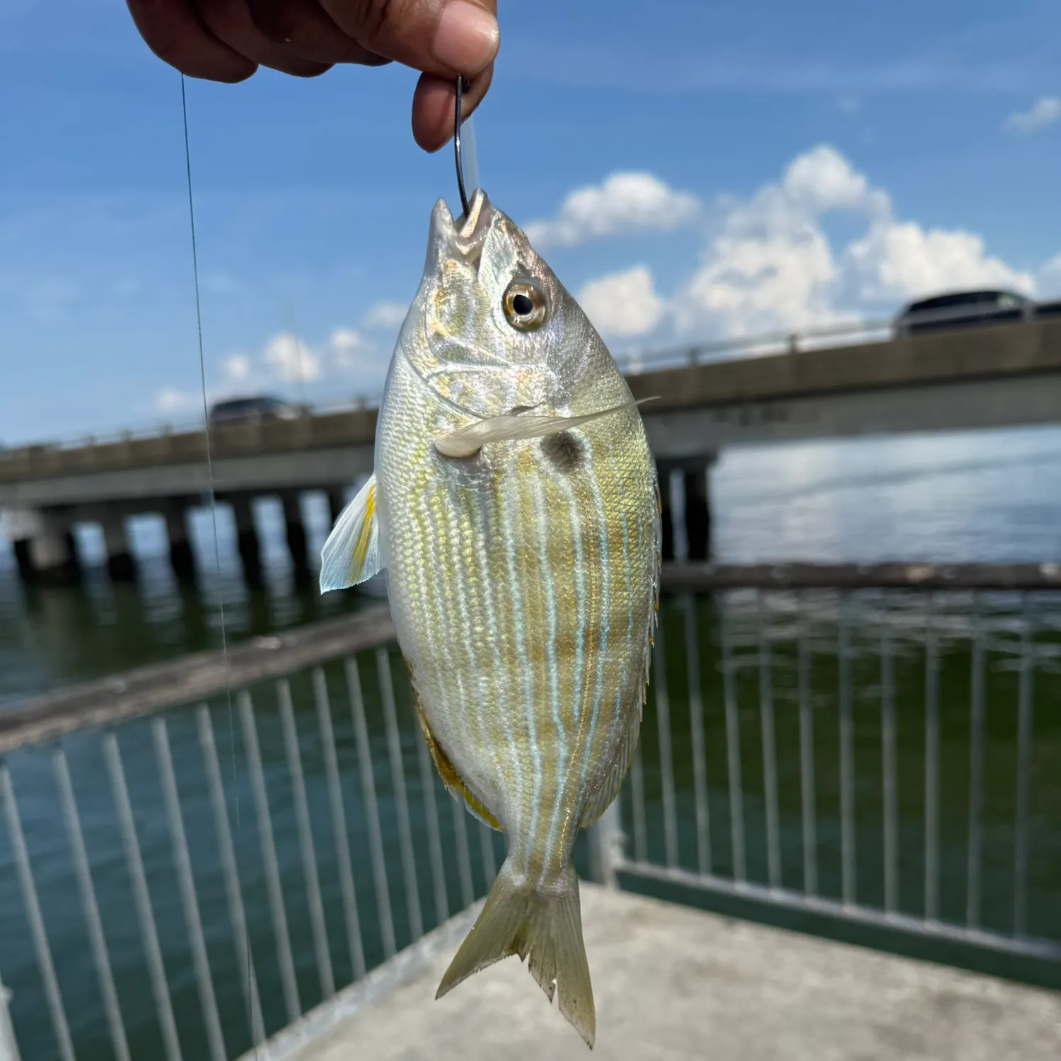 ᐅ James River Fishing Pier fishing reports🎣• Hampton, VA (United States ...
