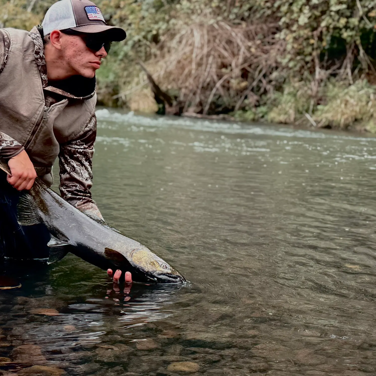 ᐅ Chehalis River fishing reports🎣• Centralia, WA (United States) fishing