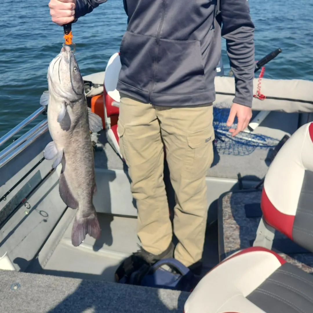 ᐅ Pymatuning Reservoir fishing reports🎣• Meadville, PA (United States ...