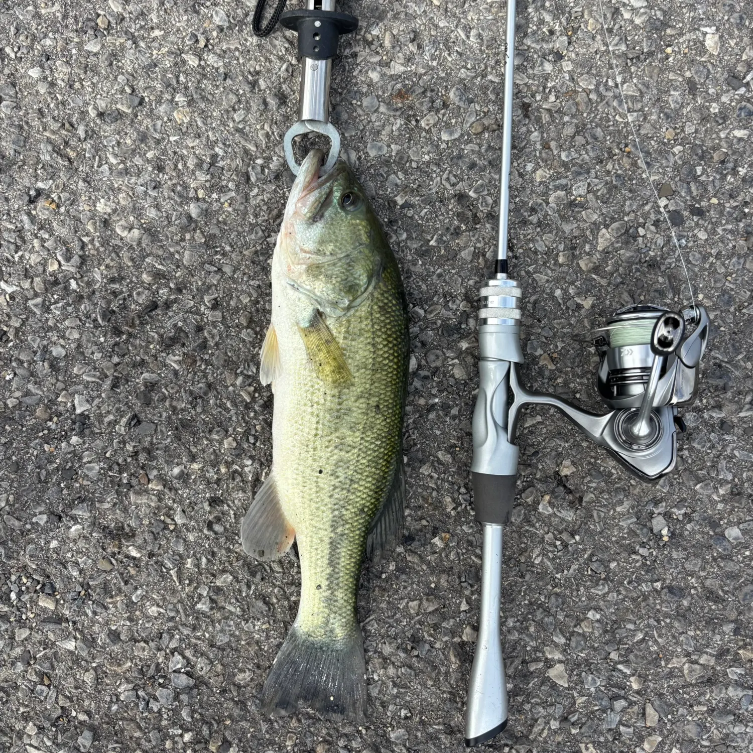 ᐅ Foster Joseph Sayers Lake fishing reports🎣• Bellefonte, PA (United ...