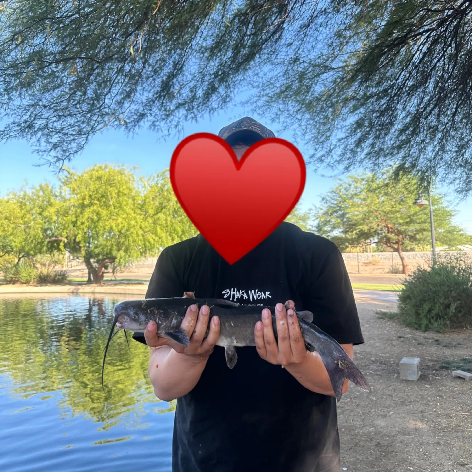 Fishing in Yuma, AZ (United States) ️️️️ Find Spots, Species & Tips