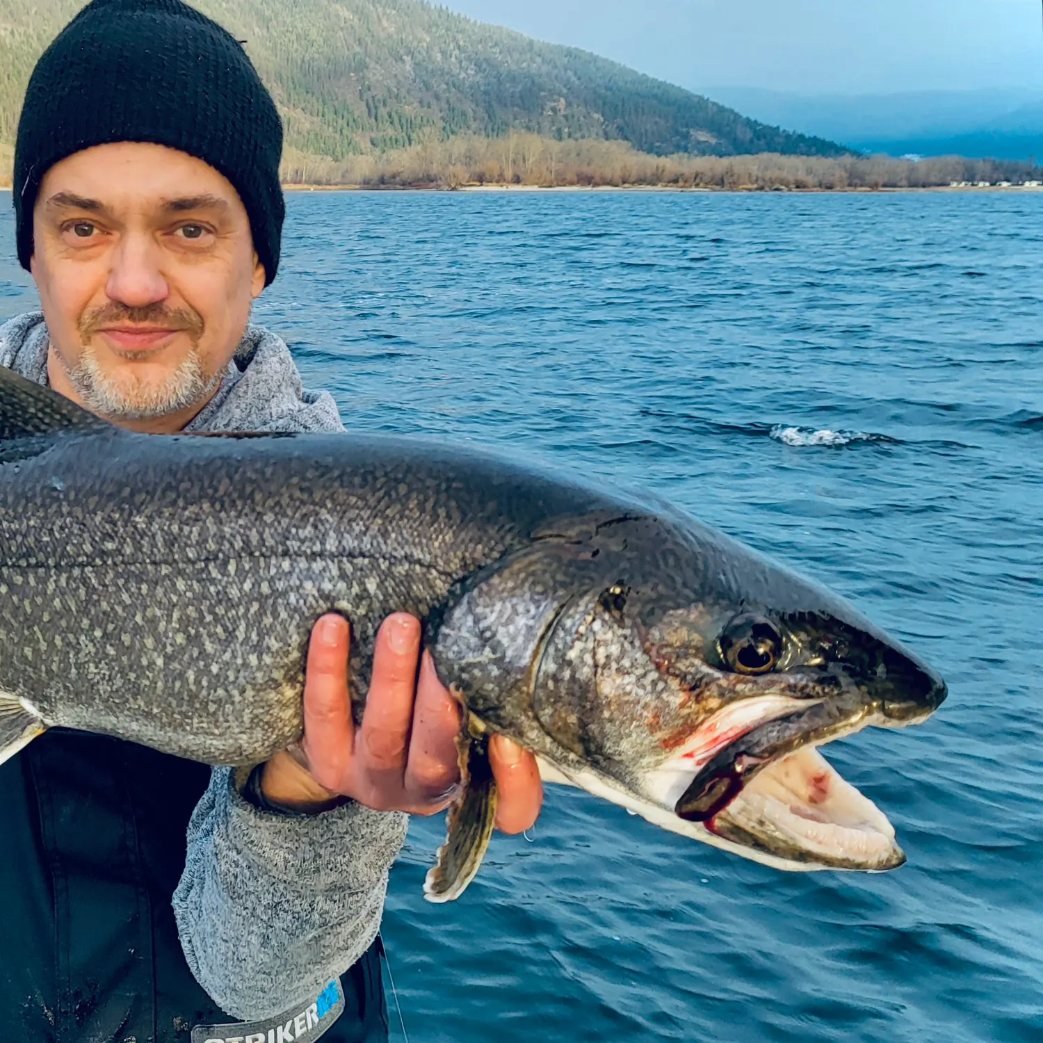 ᐅ Shuswap Lake fishing reports🎣• British Columbia, Canada fishing
