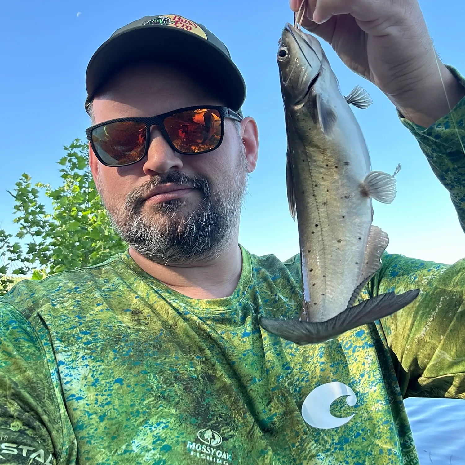 ᐅ Lake Palestine fishing reports🎣• Tyler, TX (United States) fishing