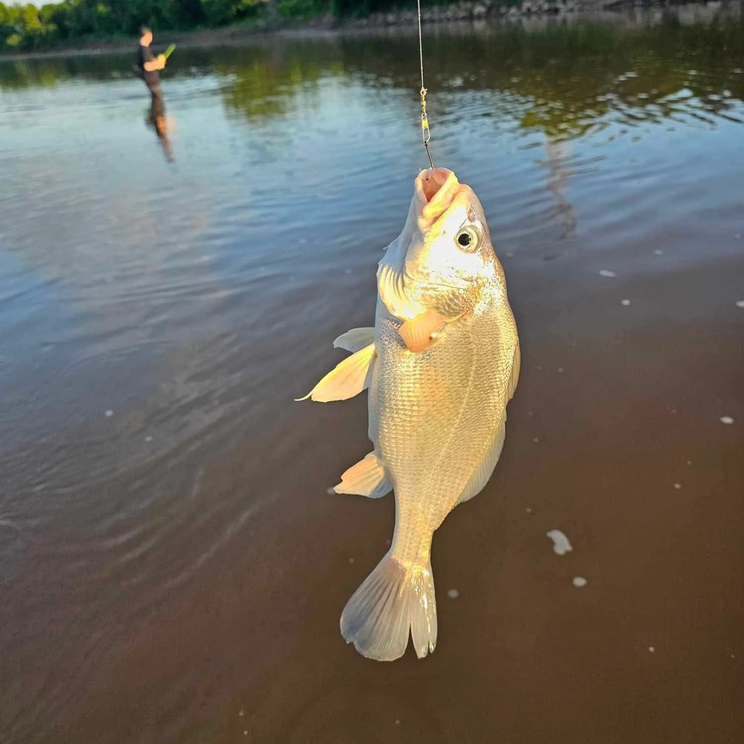 Fishing in Tulsa, OK (United States) ️️️️ Find Spots, Species & Tips