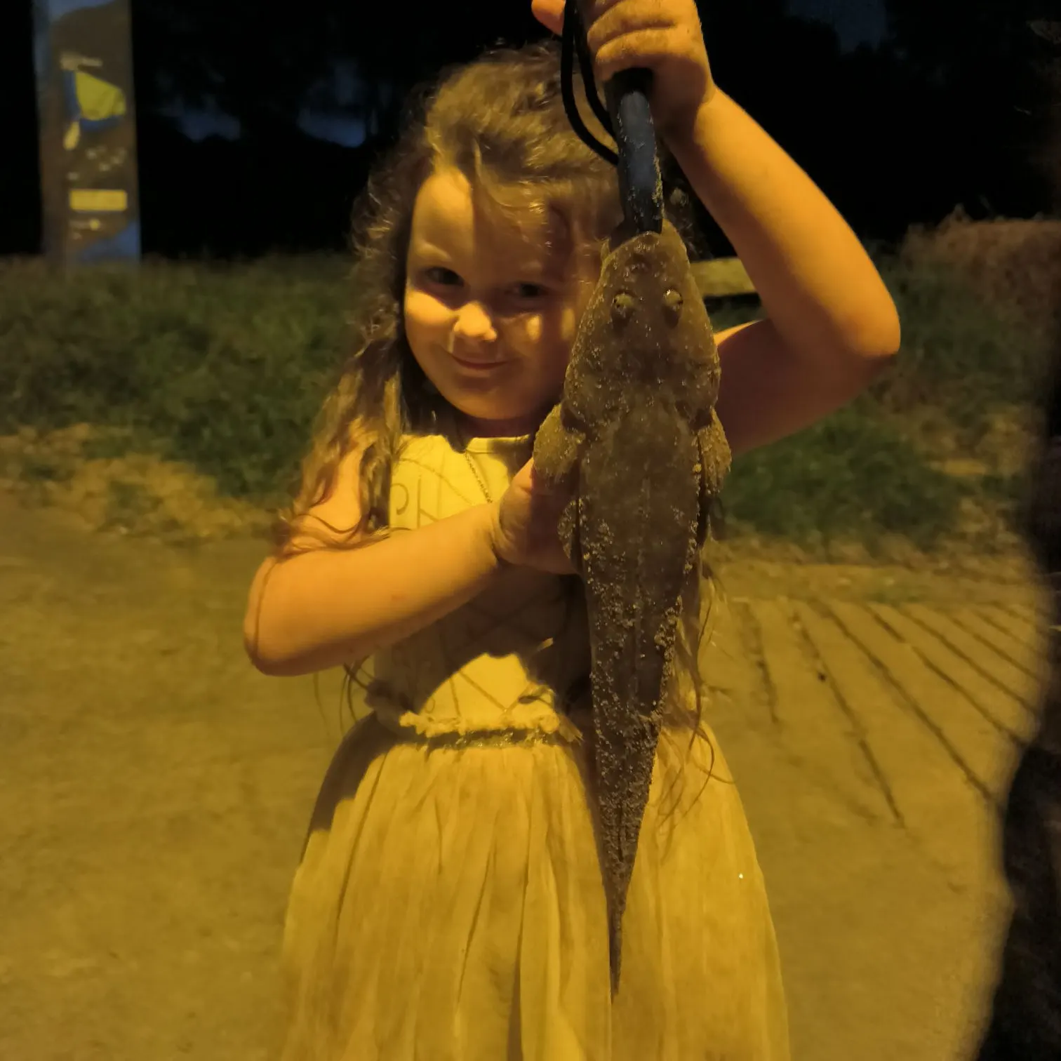 ᐅ Logan River fishing reports🎣• Queensland, Australia fishing