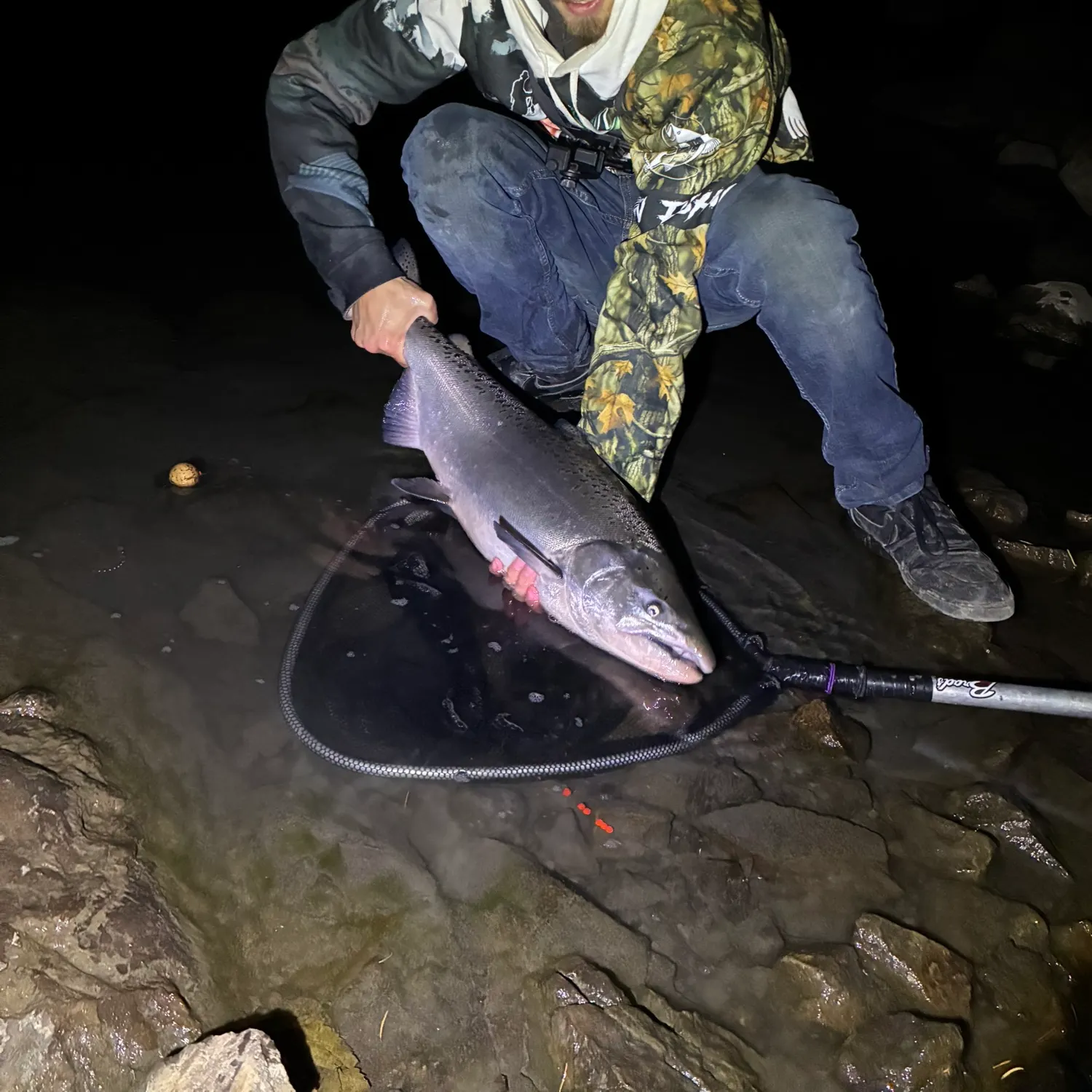 ᐅ Cowlitz River fishing reports🎣• Longview, WA (United States) fishing