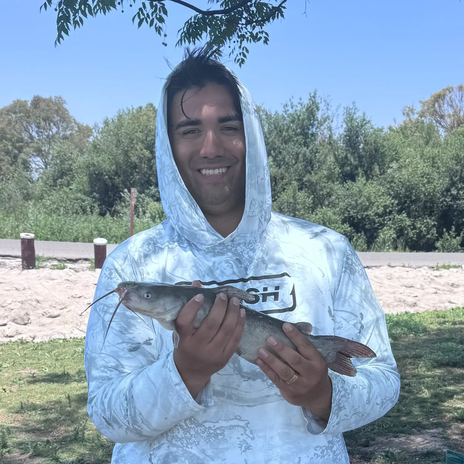 ᐅ Prado Park Lake fishing reports🎣• Chino, CA (United States) fishing