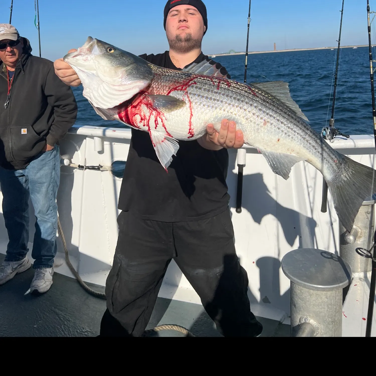 Fishing for Striped bass near you