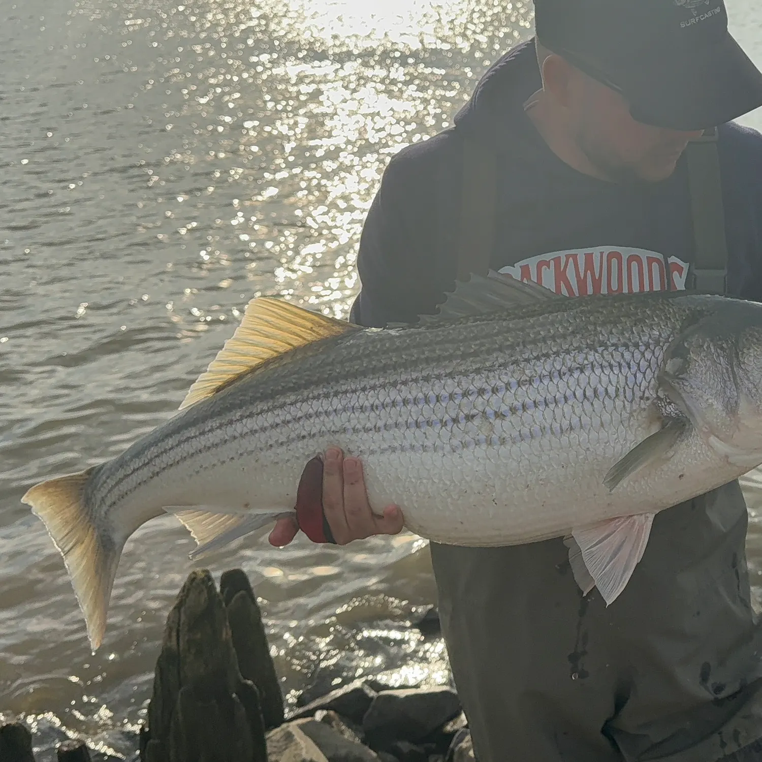 ᐅ Raritan Bay fishing reports🎣• Staten Island, NY (United States) fishing