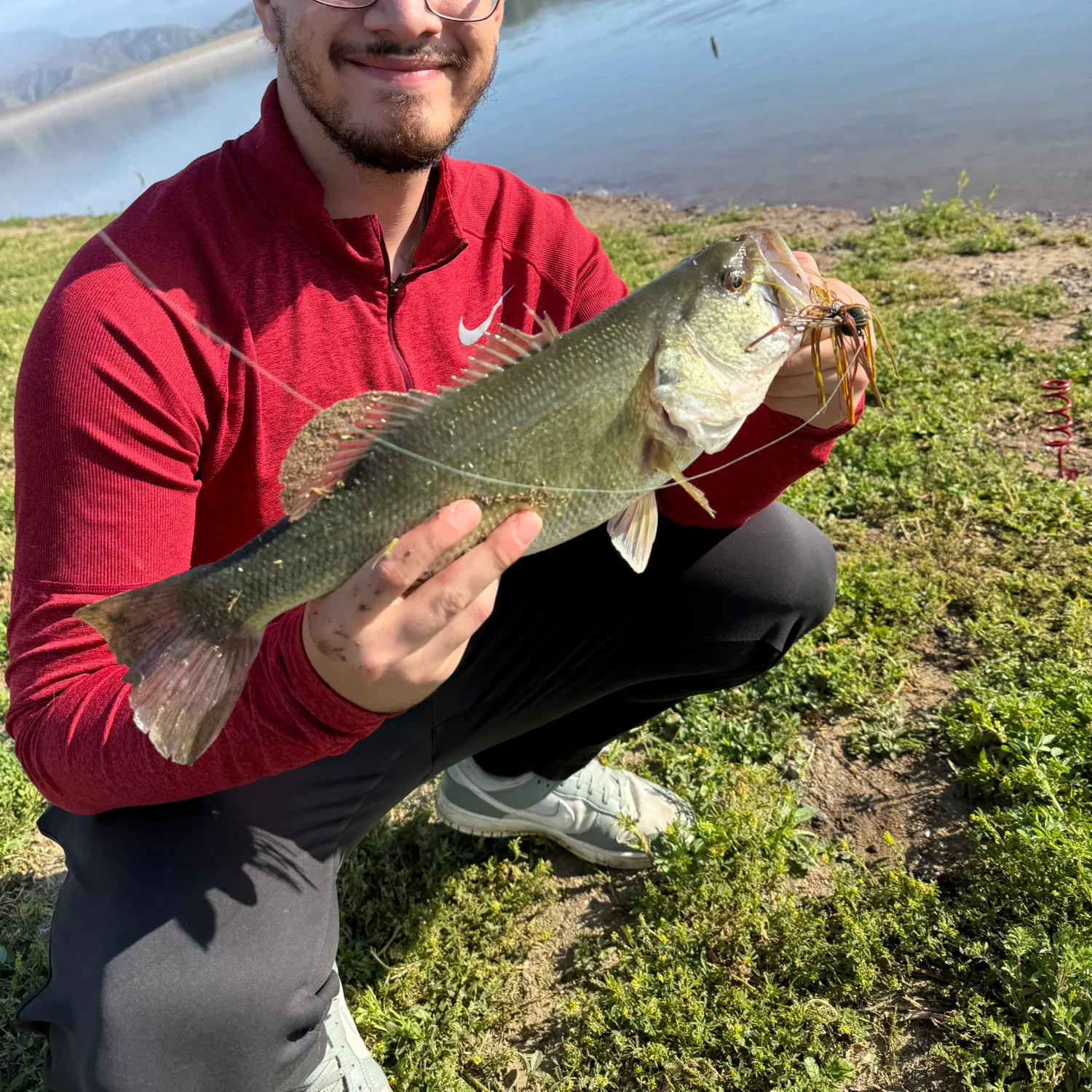 ᐅ Irvine Lake fishing reports🎣• North Tustin, CA (United States) fishing
