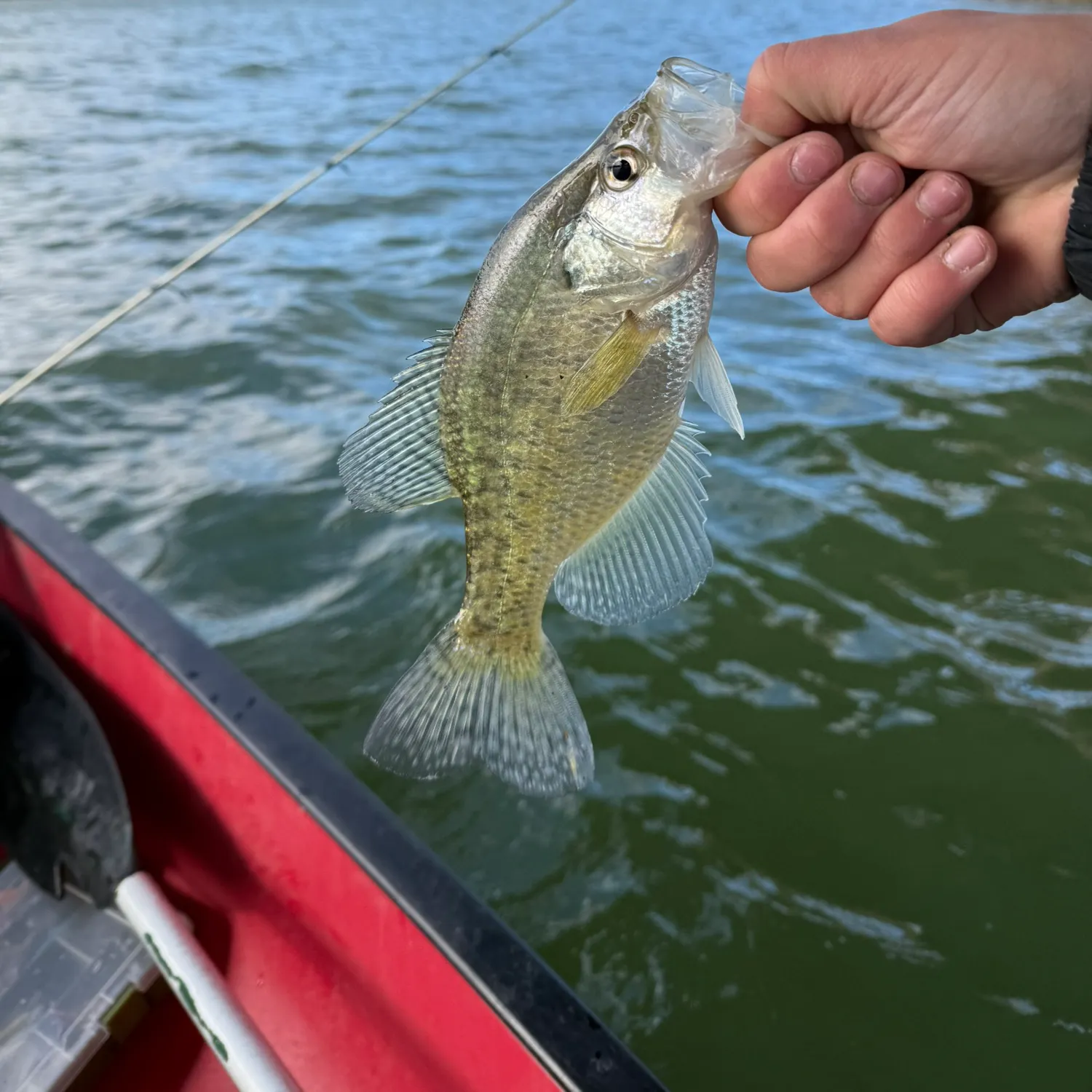 ᐅ Foster Joseph Sayers Lake fishing reports🎣• Bellefonte, PA (United ...