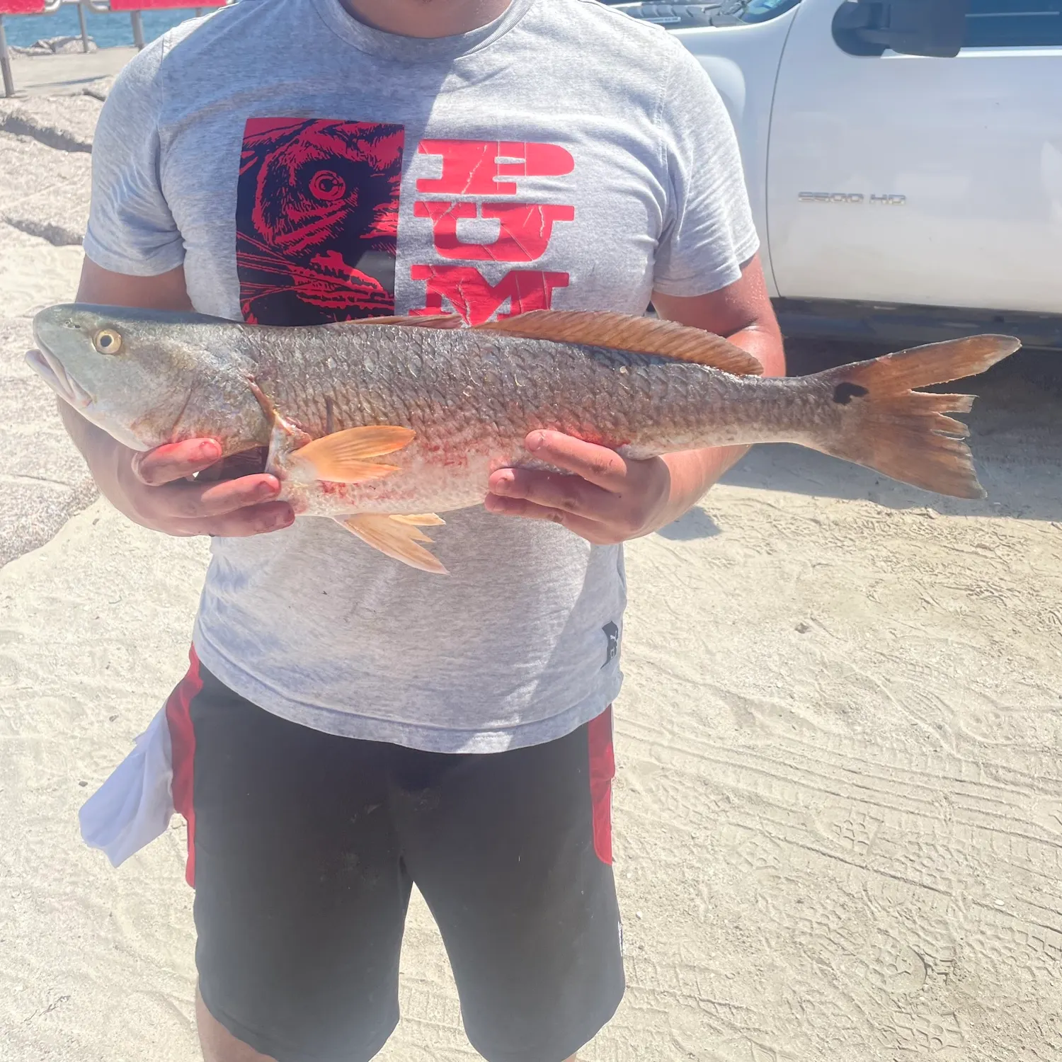 ᐅ Packery Channel fishing reports🎣• Corpus Christi, TX (United States ...