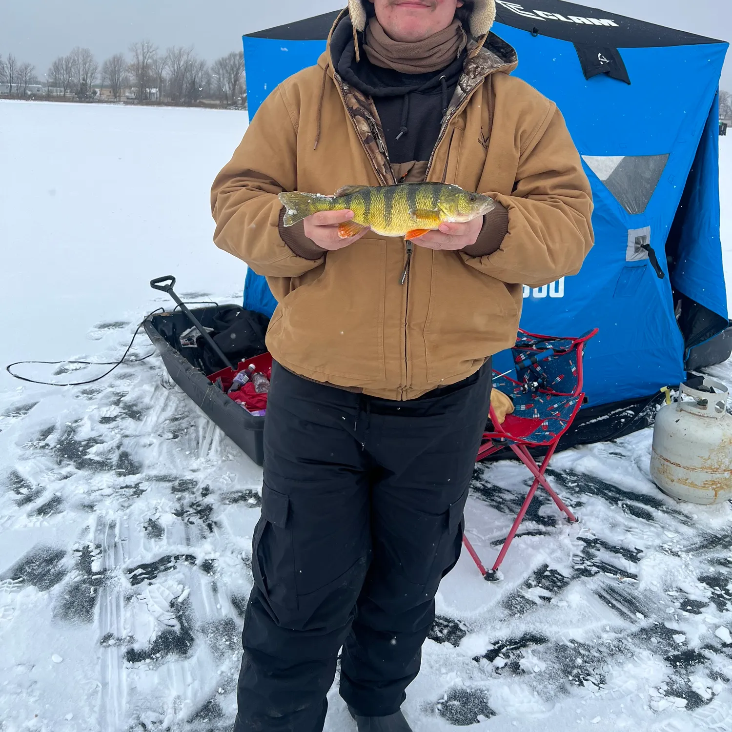 ᐅ Chaumont Bay fishing reports🎣• Watertown, NY (United States) fishing