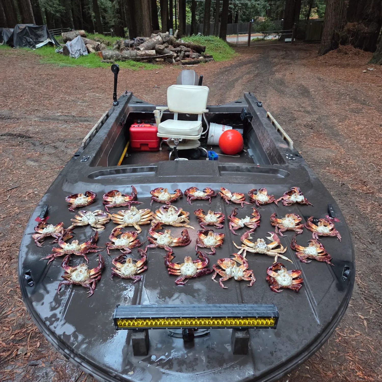 ᐅ Tomales Bay fishing reports🎣• Petaluma, CA (United States) fishing