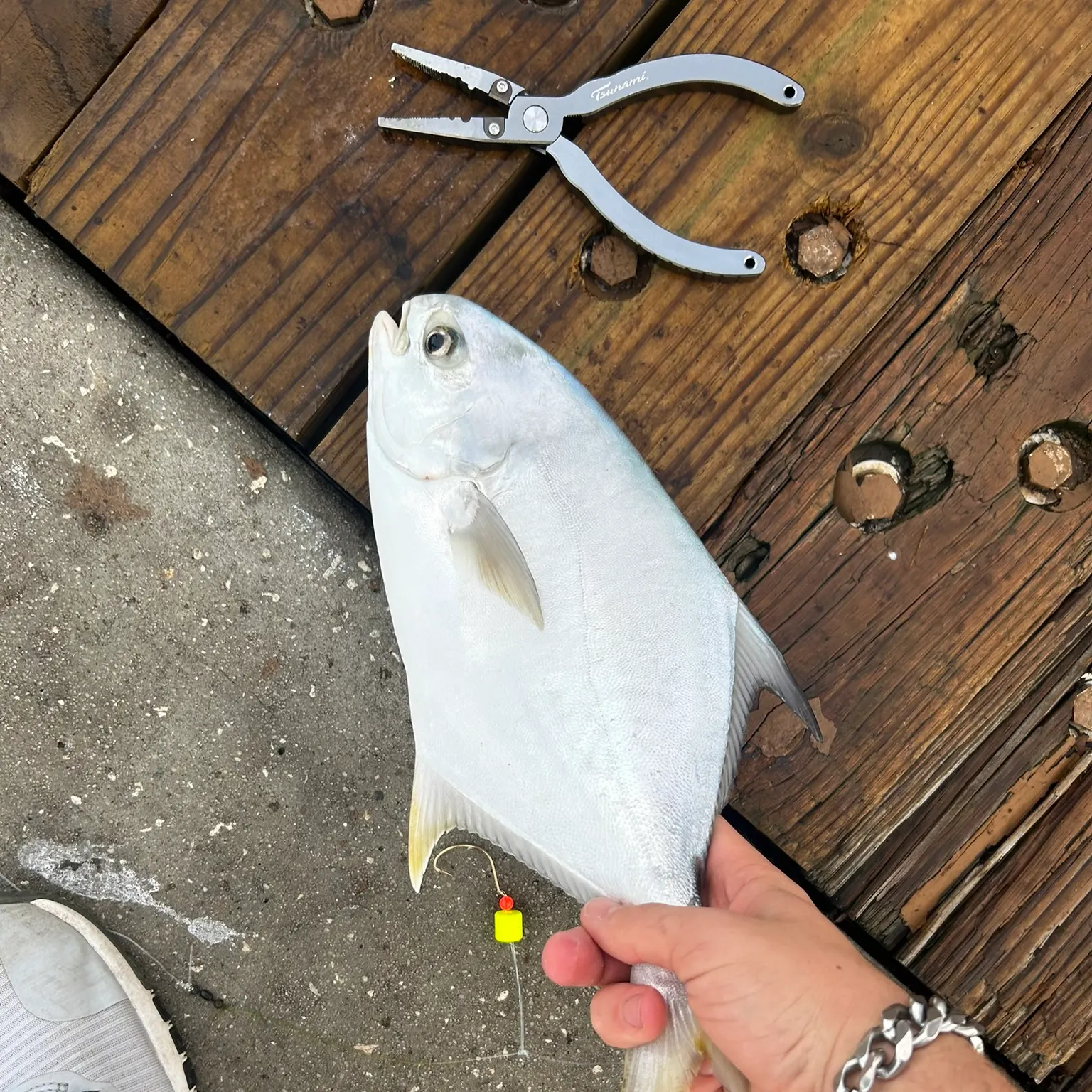 ᐅ Juno Beach Pier fishing reports🎣• Jupiter, FL (United States) fishing