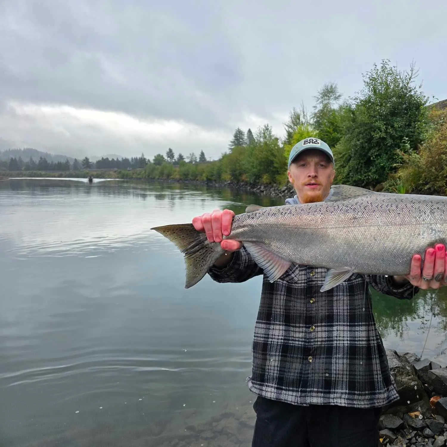 ᐅ Cowlitz River fishing reports🎣• Longview, WA (United States) fishing