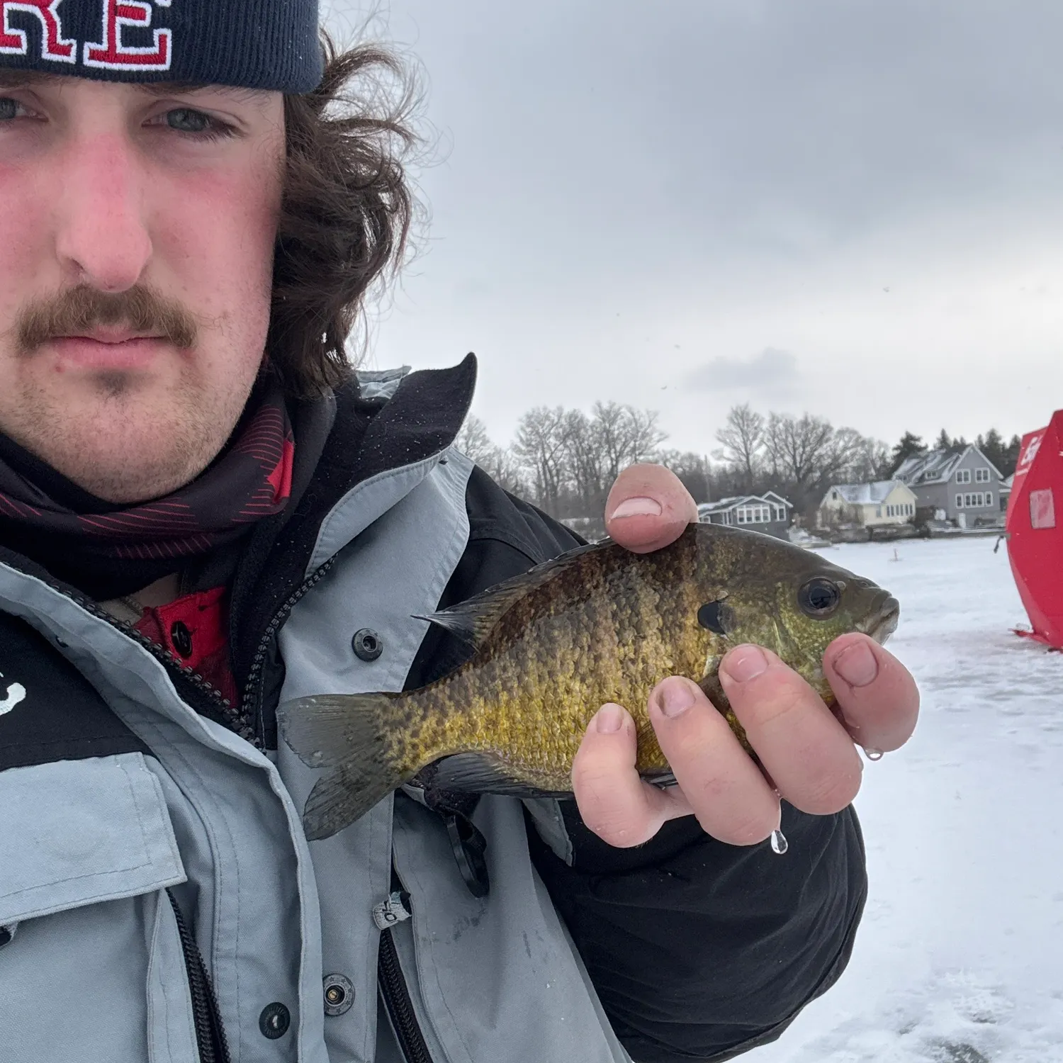 ᐅ Chaumont Bay fishing reports🎣• Watertown, NY (United States) fishing