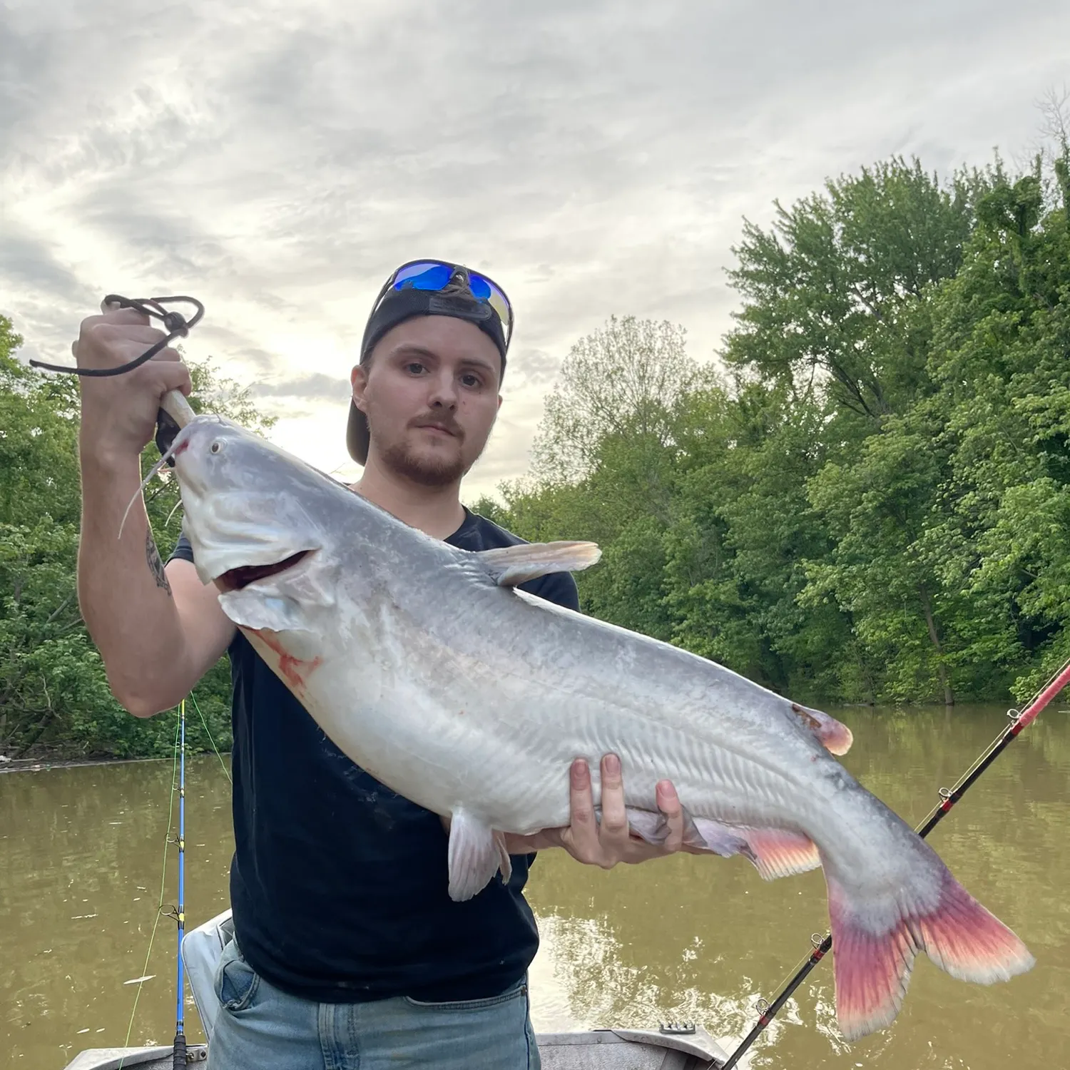 Fishing for Blue catfish near you