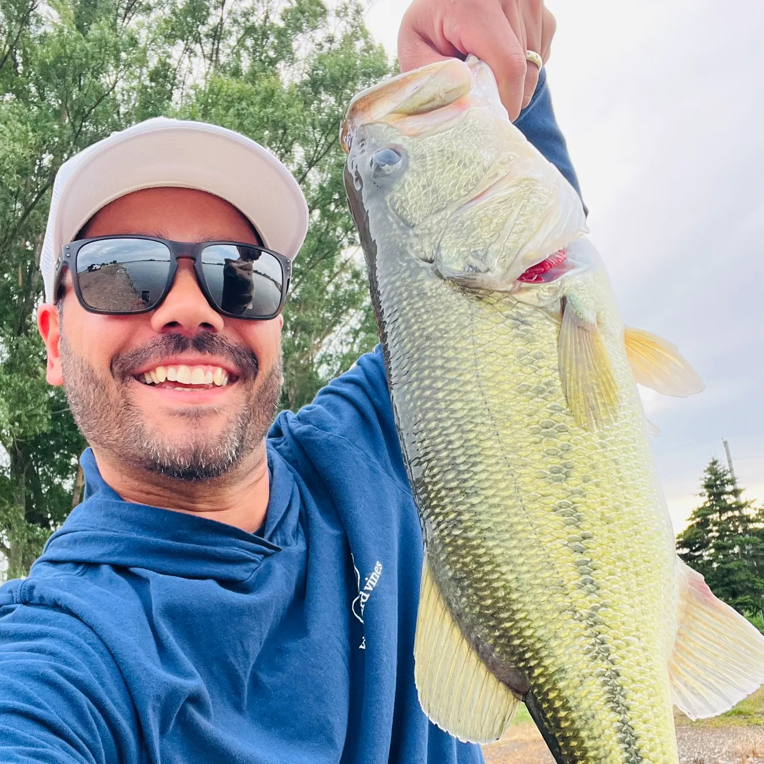 Fishing in Rochester, MN (United States) ️️️️ Find Spots, Species & Tips